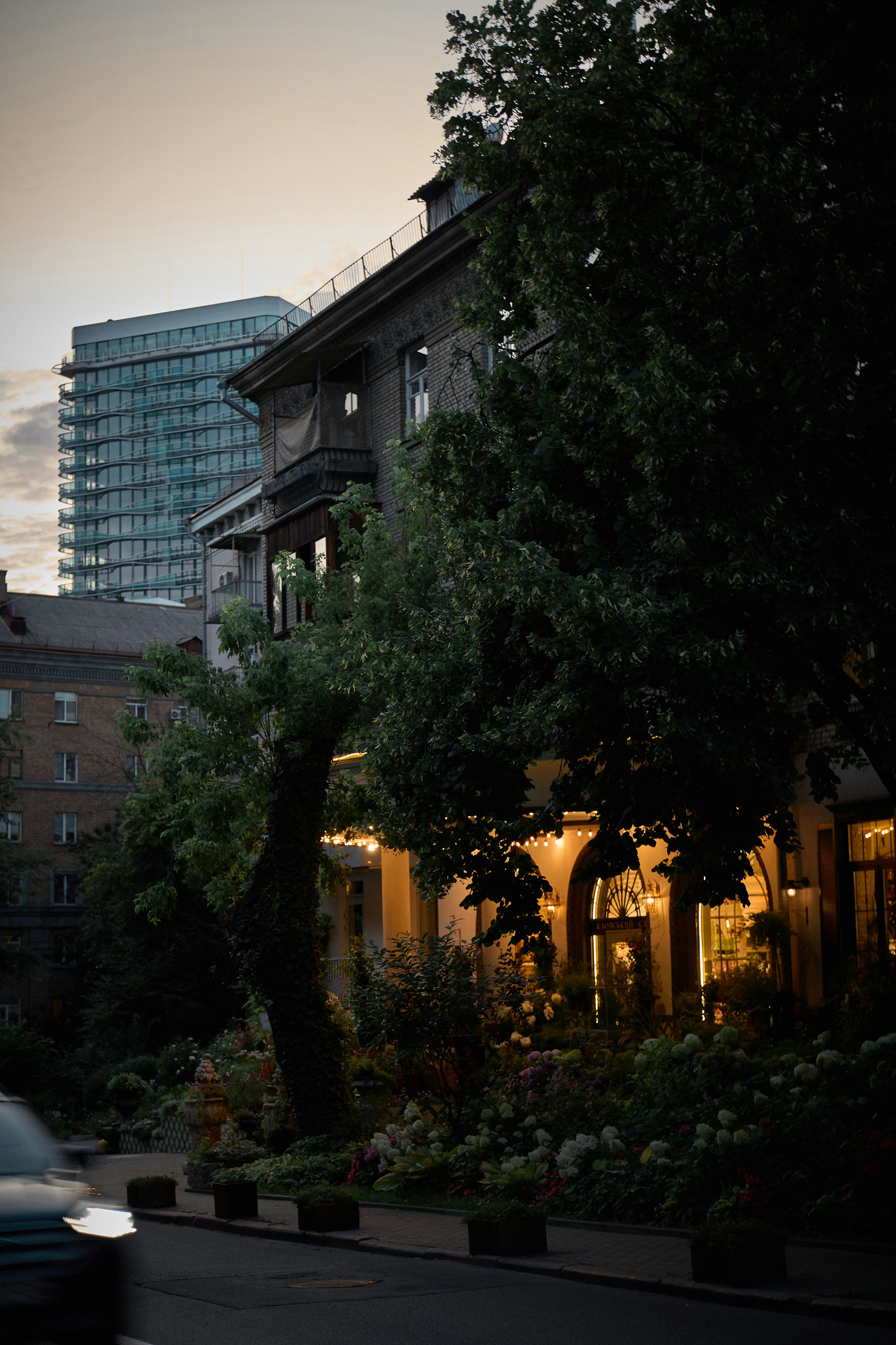 Evening Light on a Quiet Street Amid Urban Growth