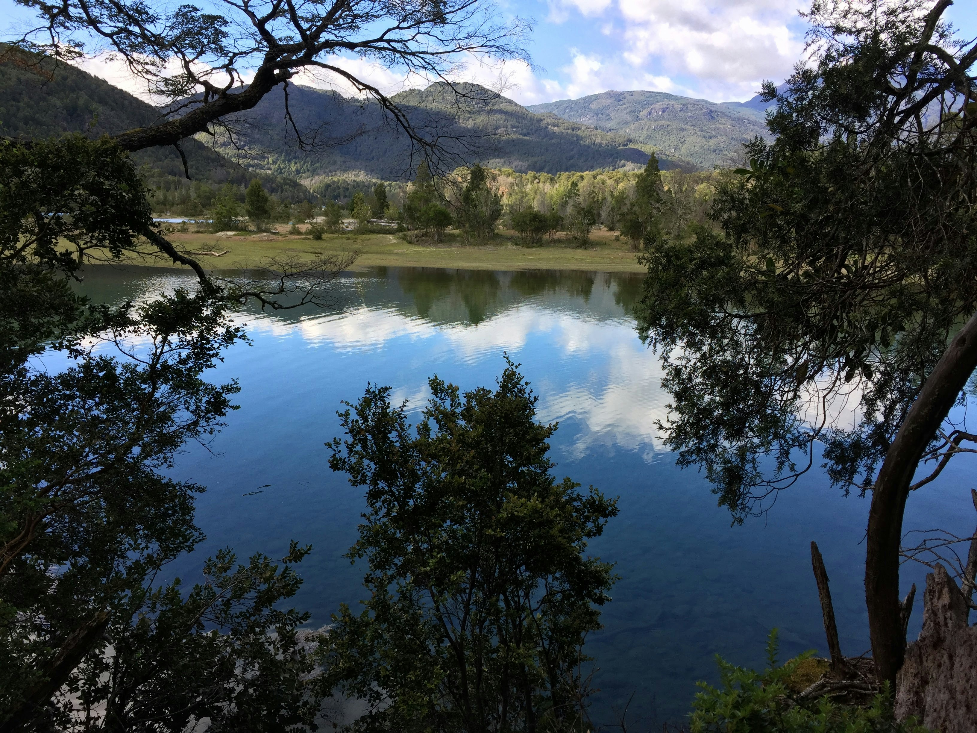 Mountains Mirror: A Tranquil Lakeside Vista Framed by Branches