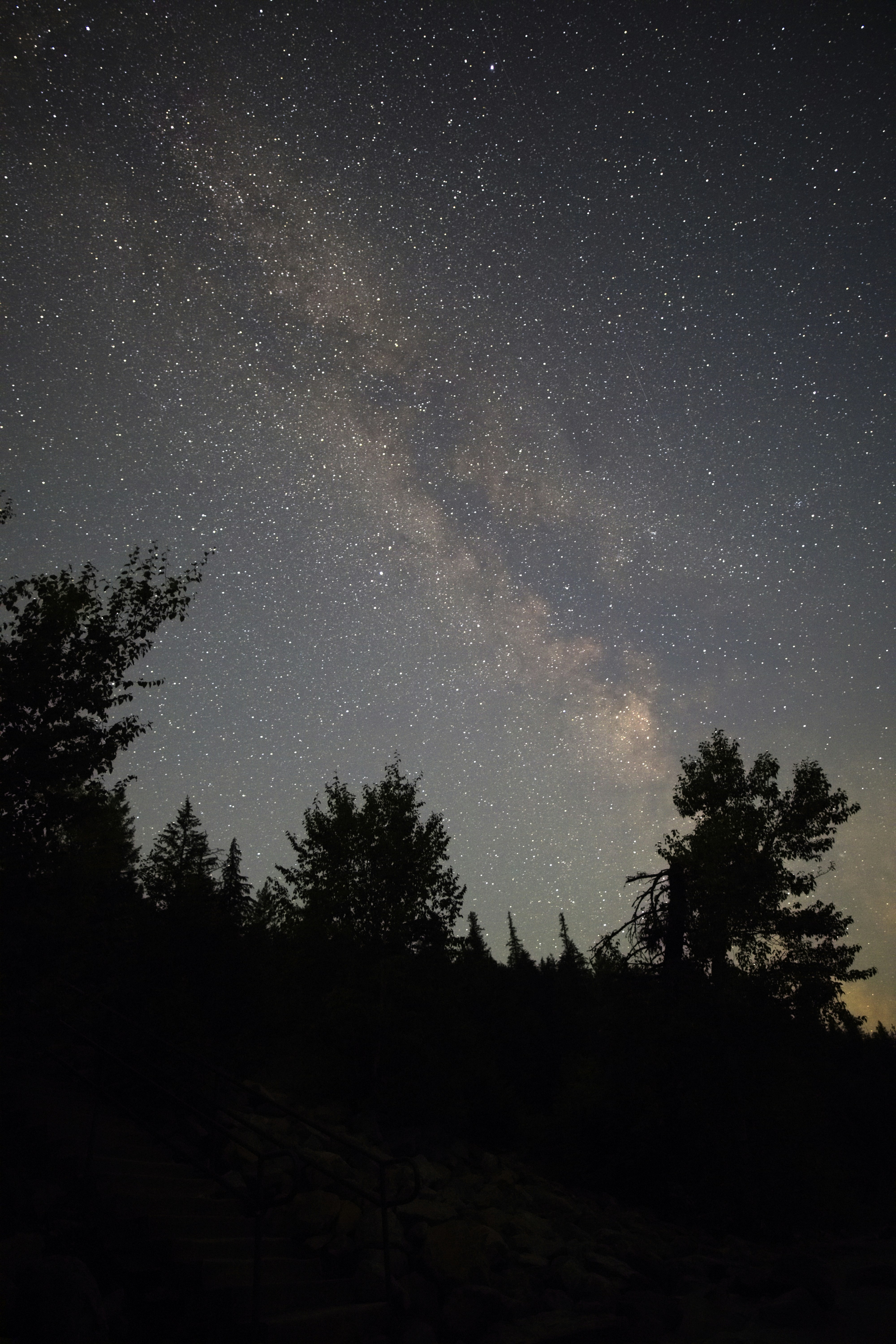 Milky Way Arc Over Silent Pines