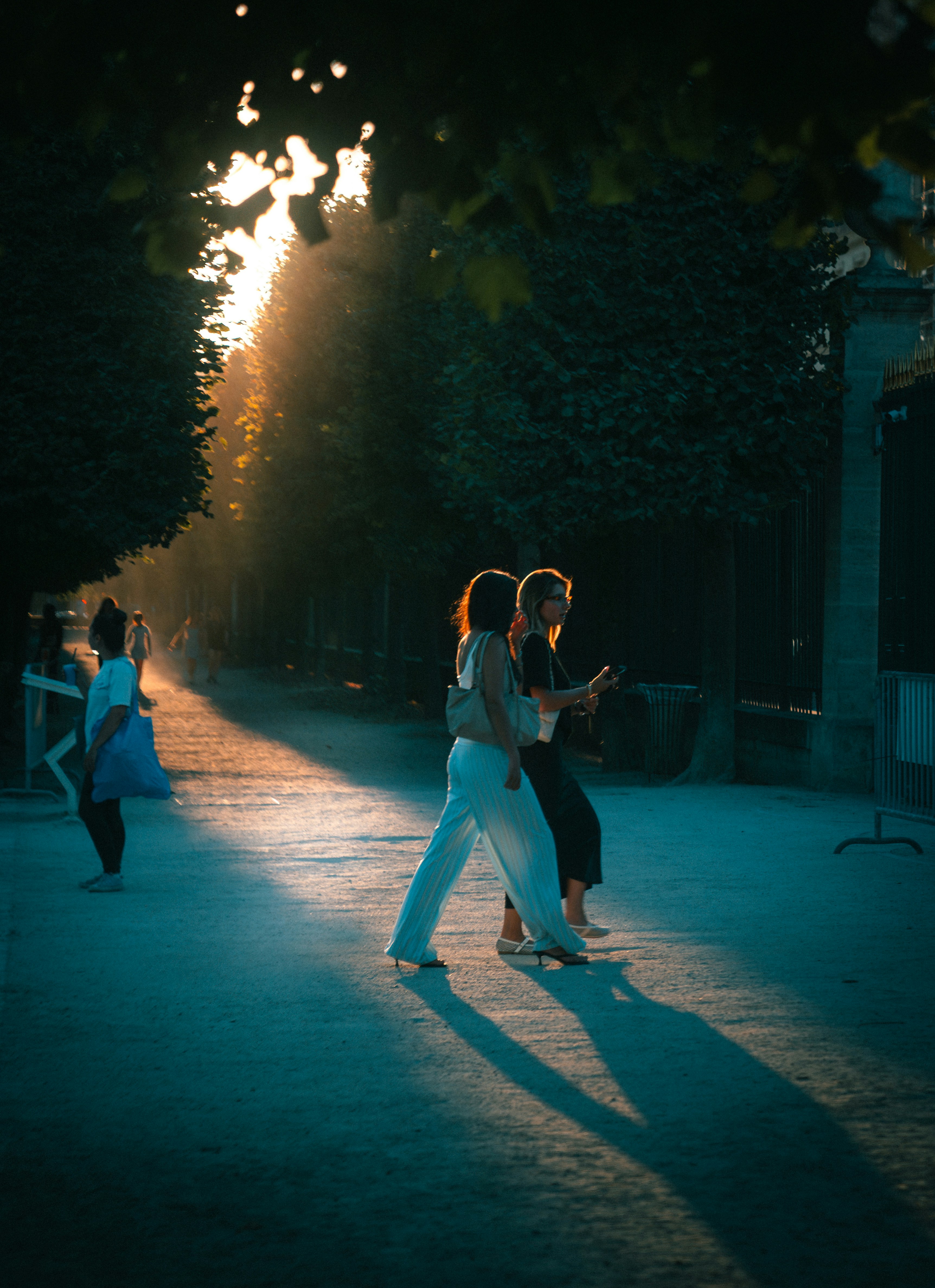Golden Hour Stride: Two Friends Cross a Sunlit Avenue