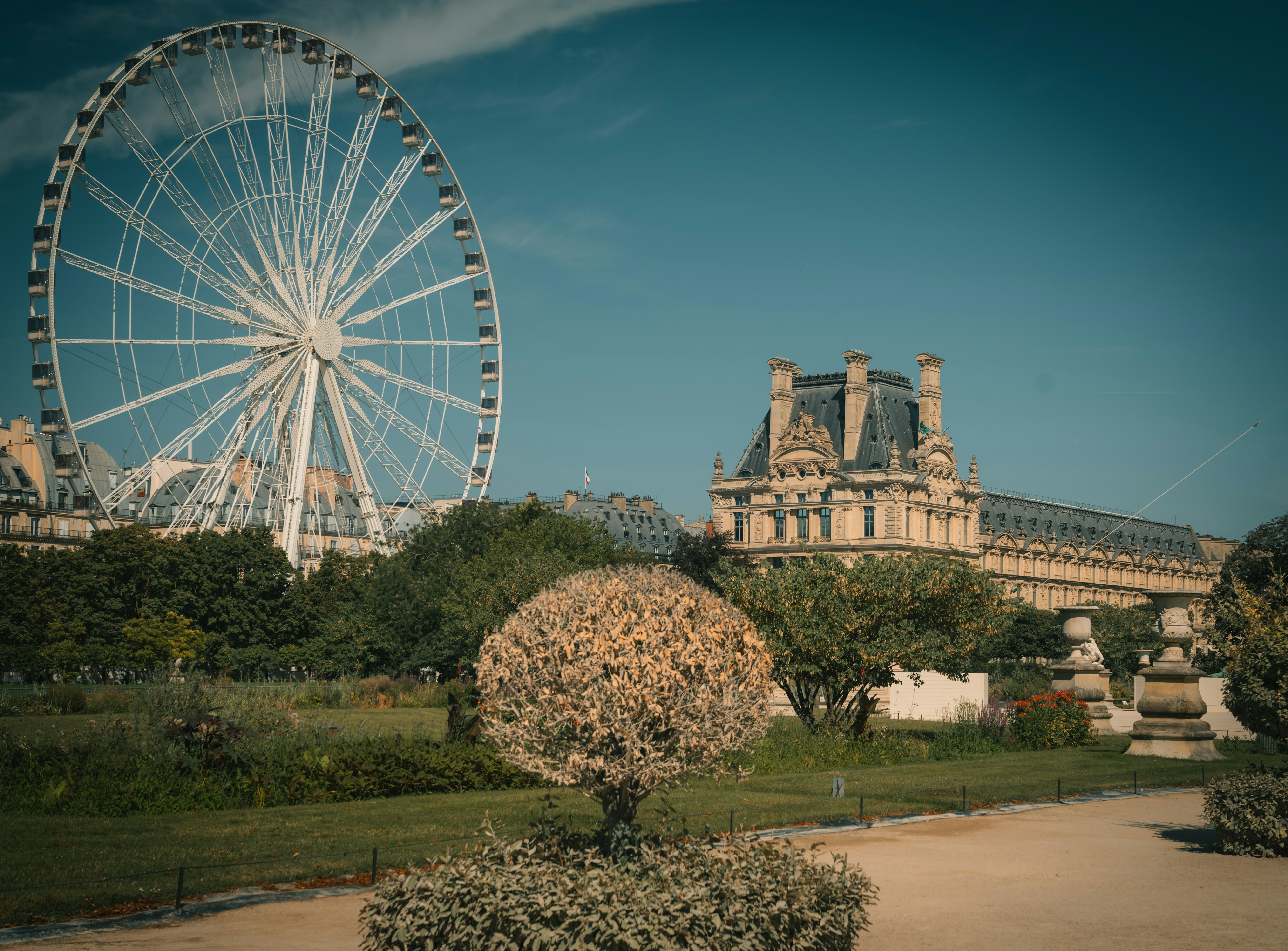 Ferris Wheel Over Parisian Gardens