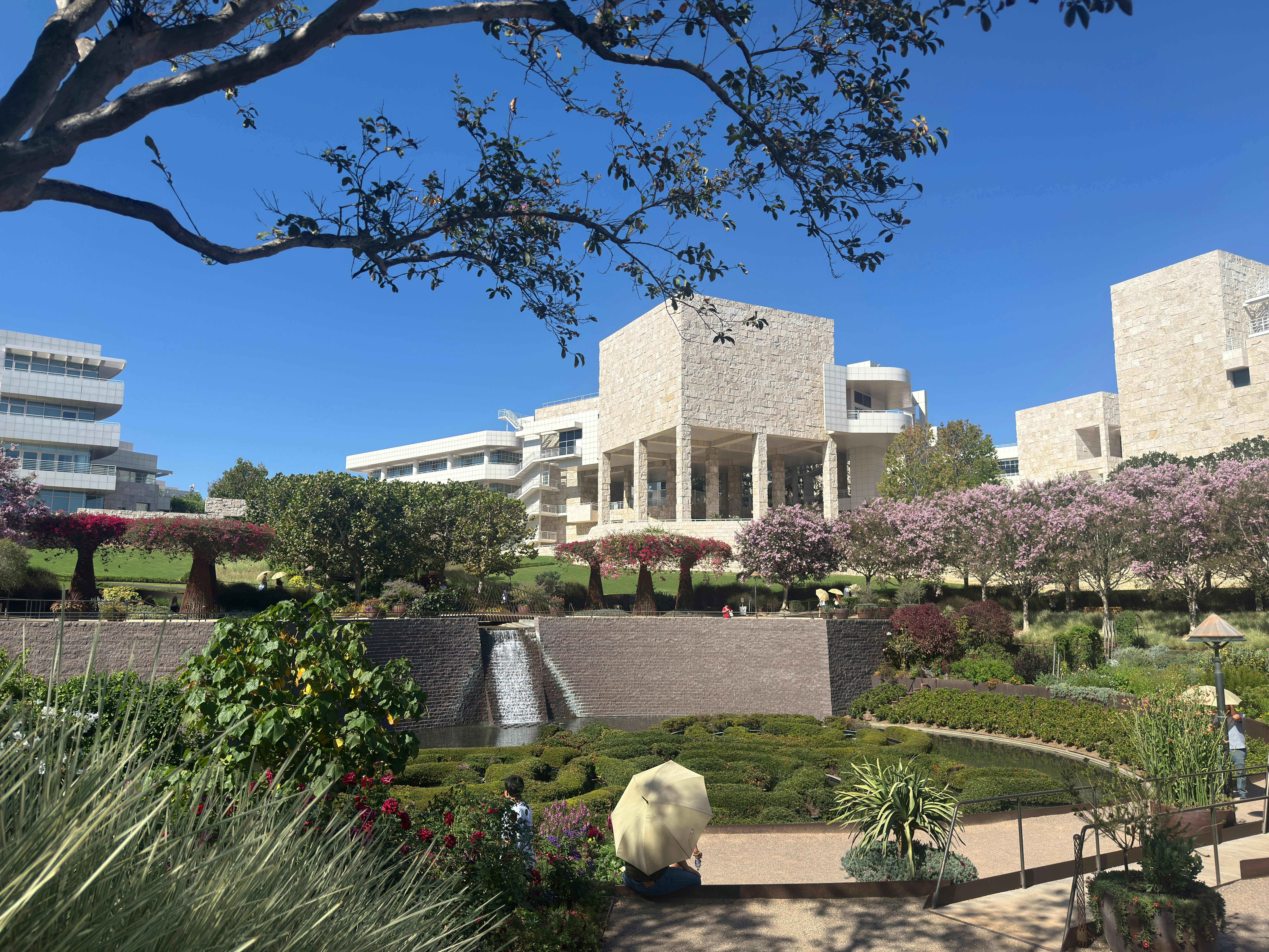 Wide shot of a university campus with a tiered fountain, flowering trees, and contemporary stone buildings under a clear blue sky.