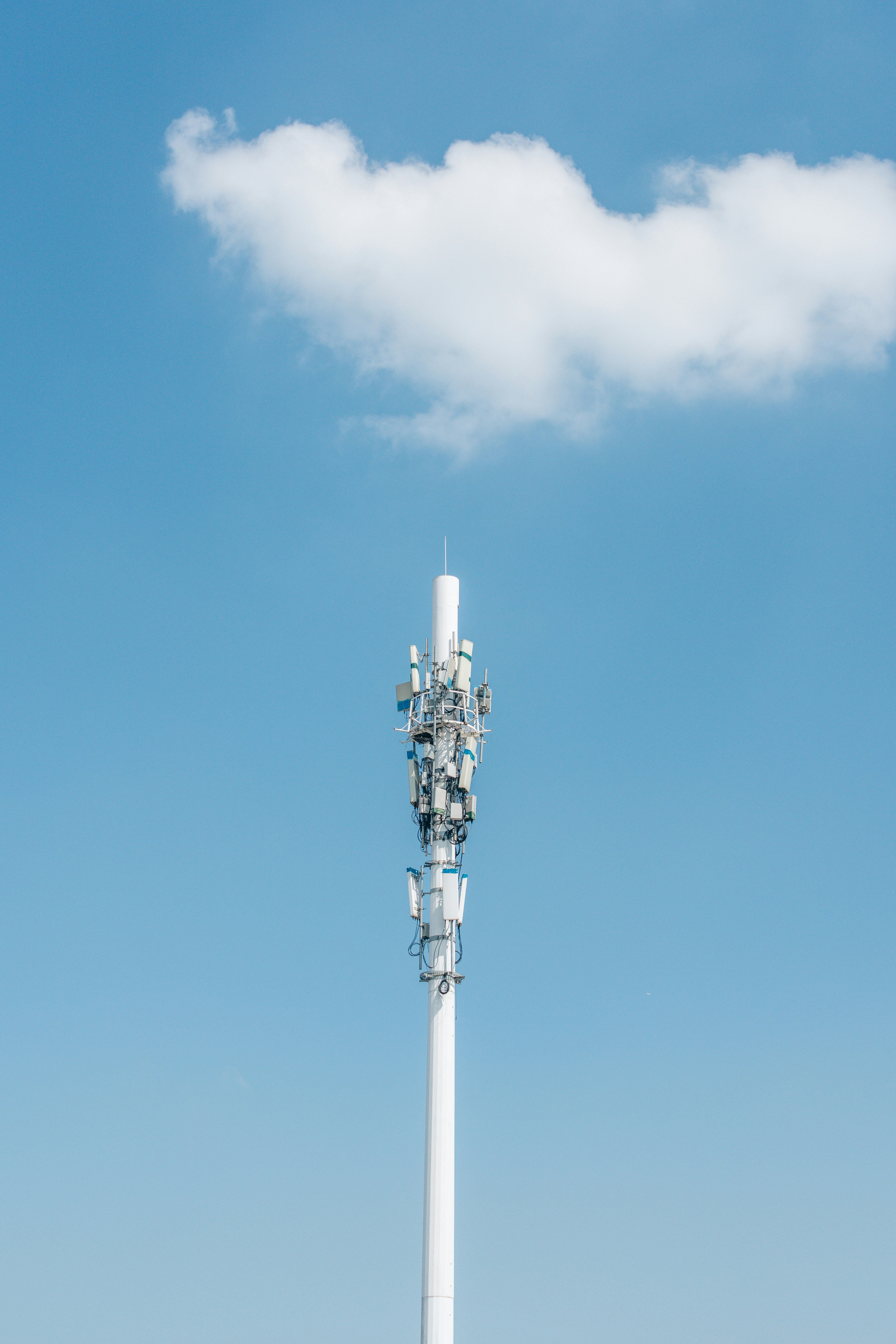 Twin-Panel Sky: A Cellular Tower Reaches for the Afternoon