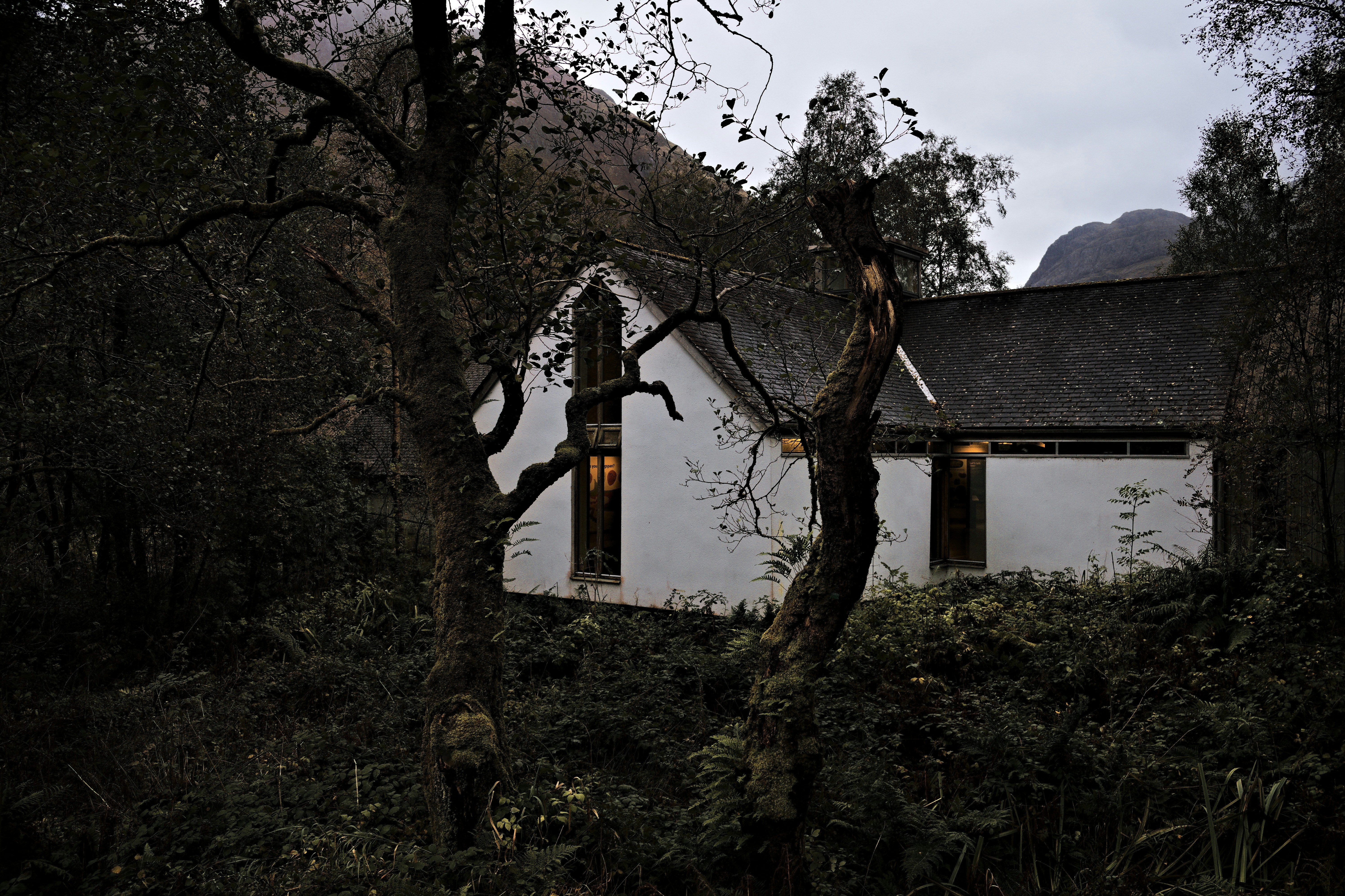Hidden Cottage Amid Encroaching Shadows