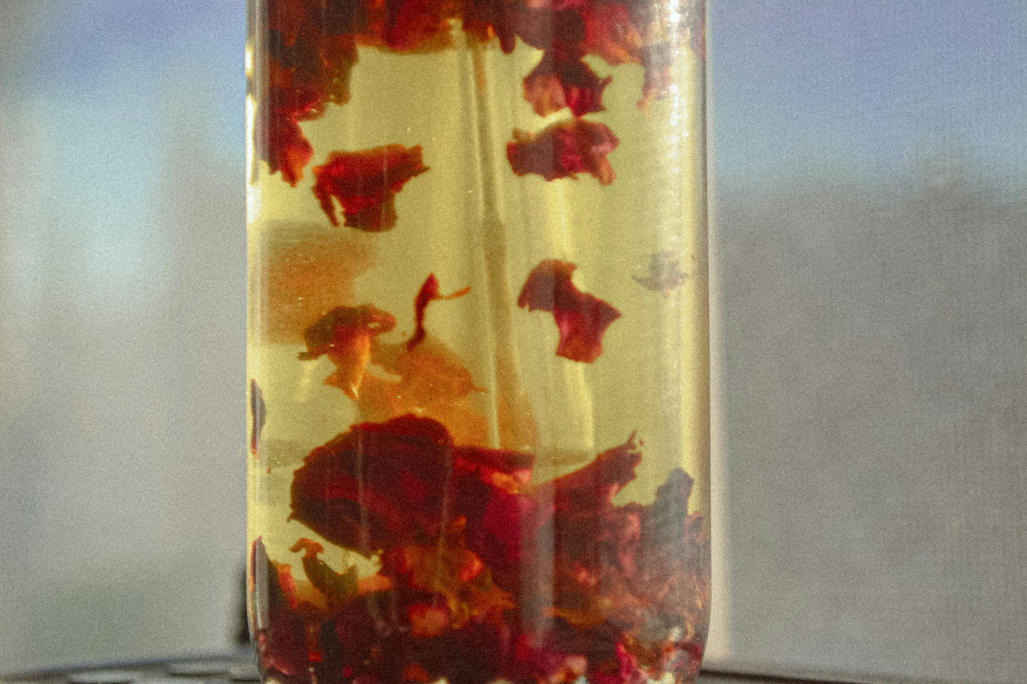 Liquid Amber: Floating Leaves in a Glass Vessel