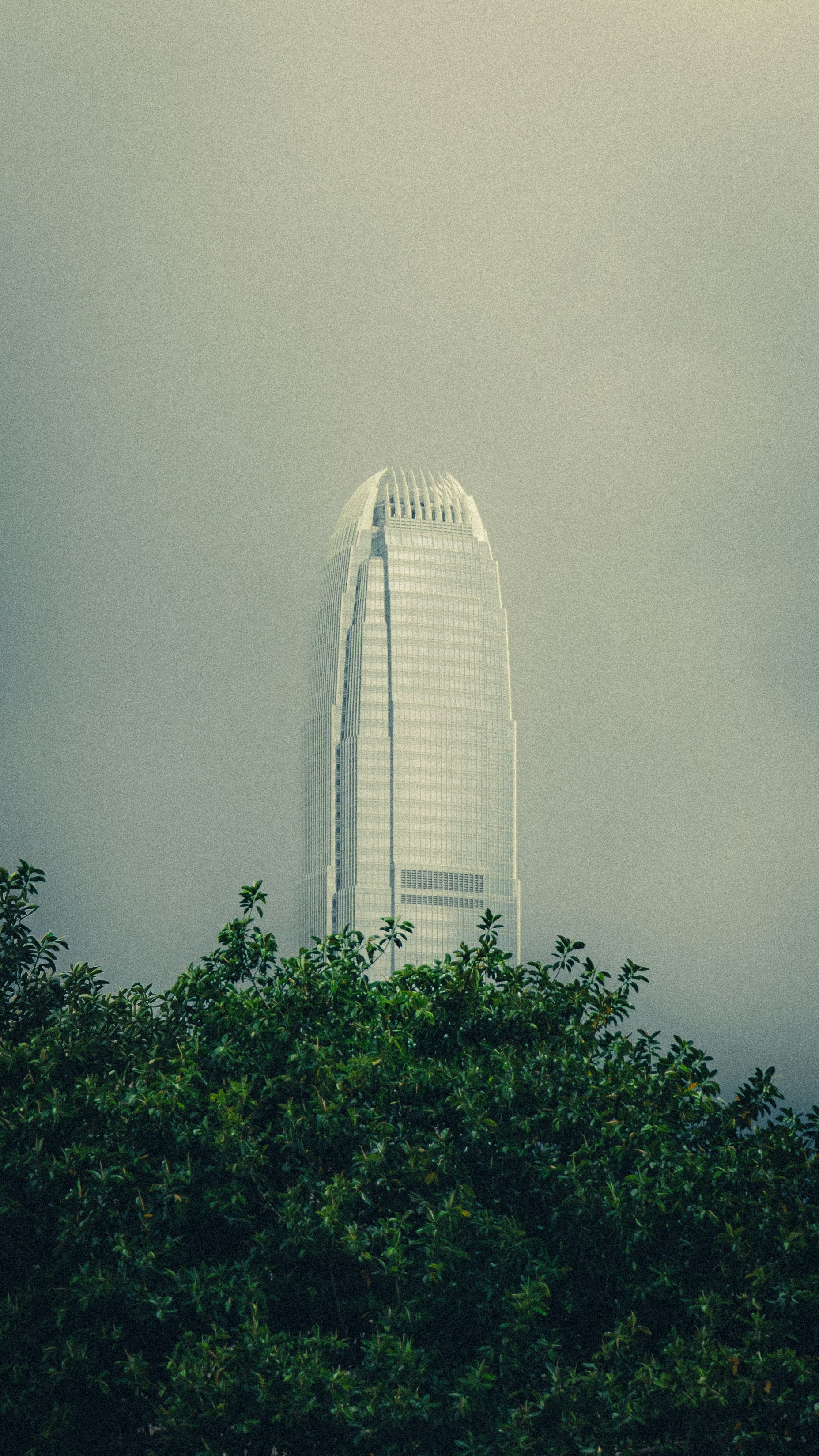 Skyward Apex: A Tower Rising Above Verdant Veil