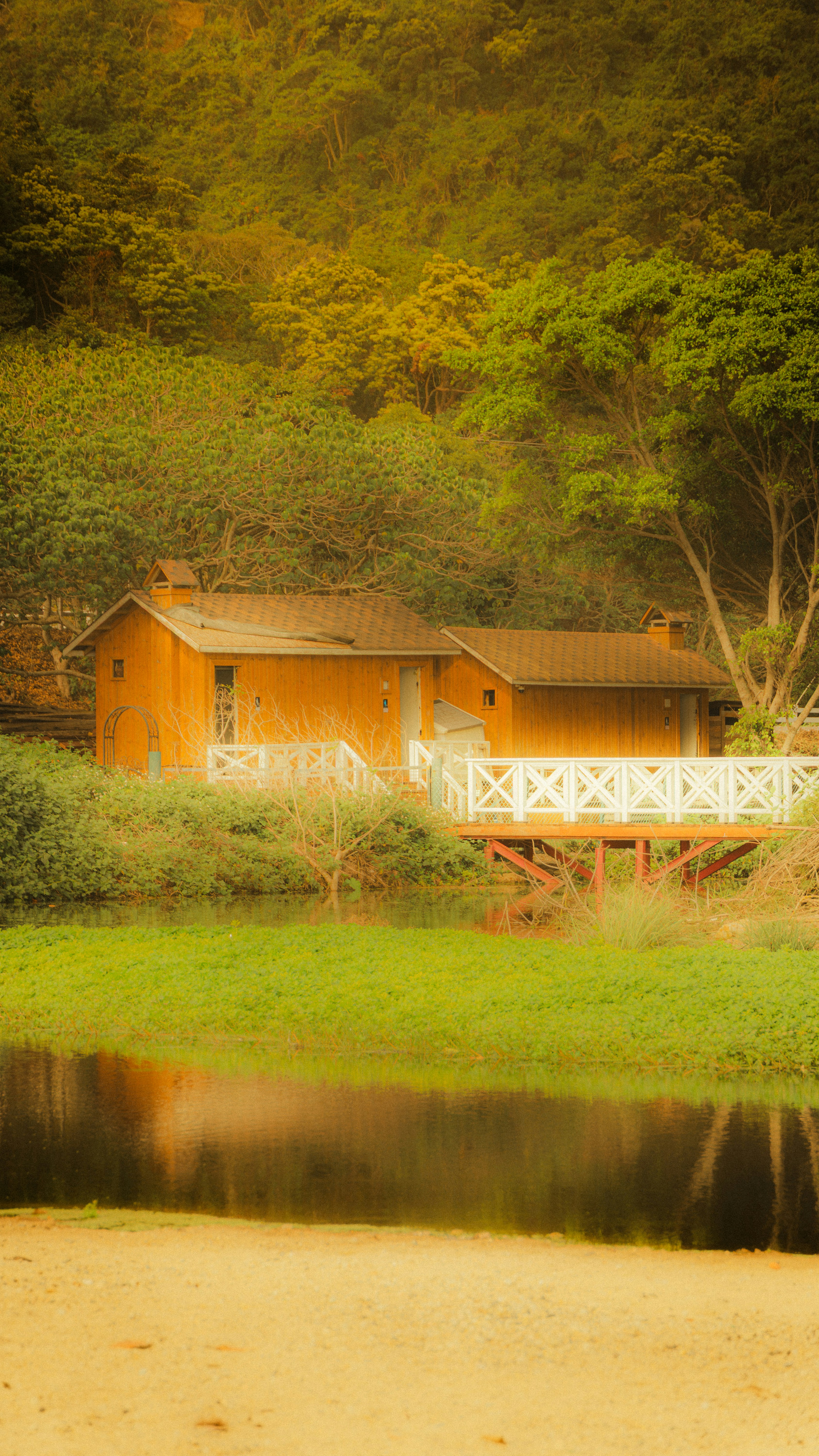 Sunny riverside cabin bathed in warm light