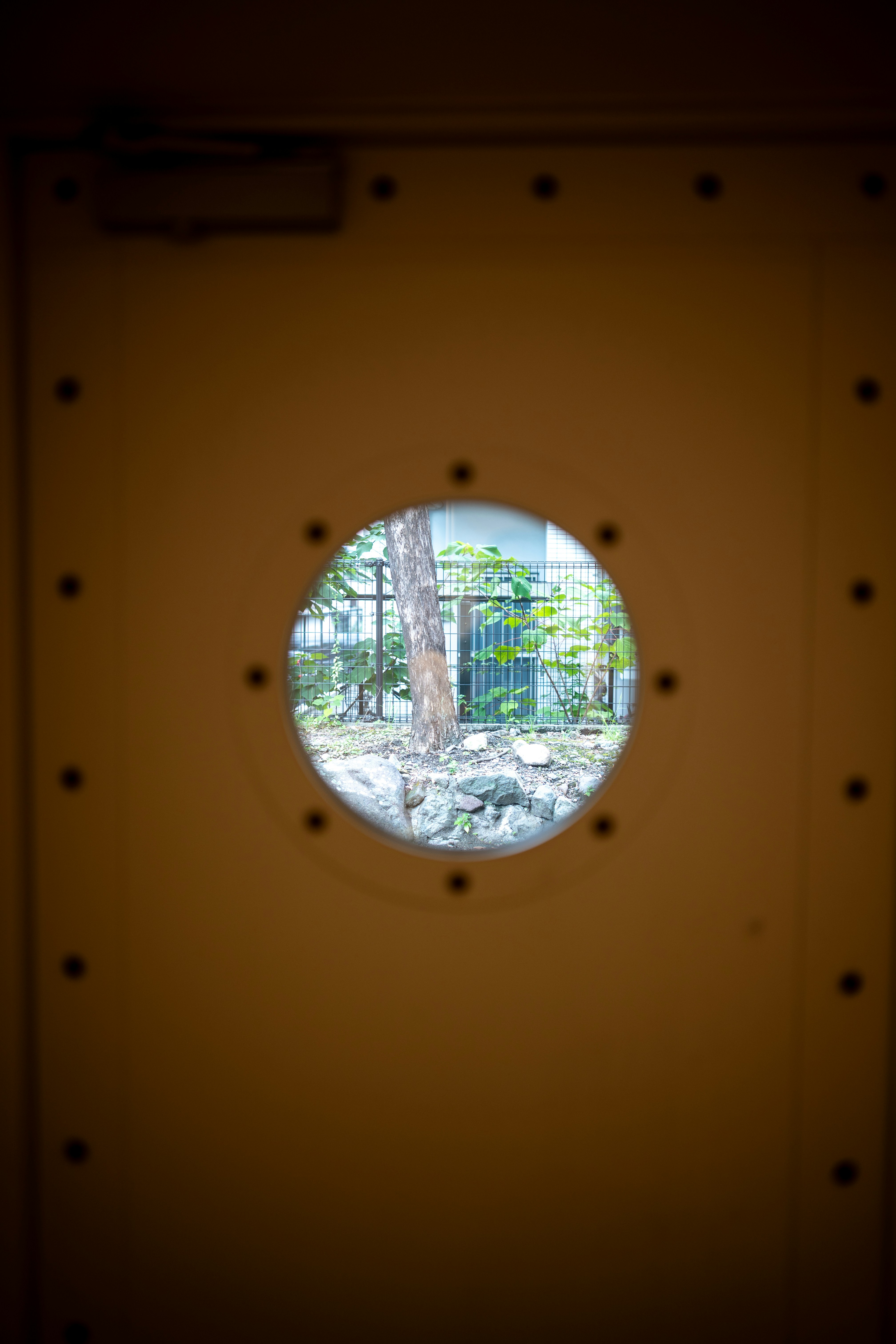 Through the Round Window: A Quiet View Beyond a rusty Gate