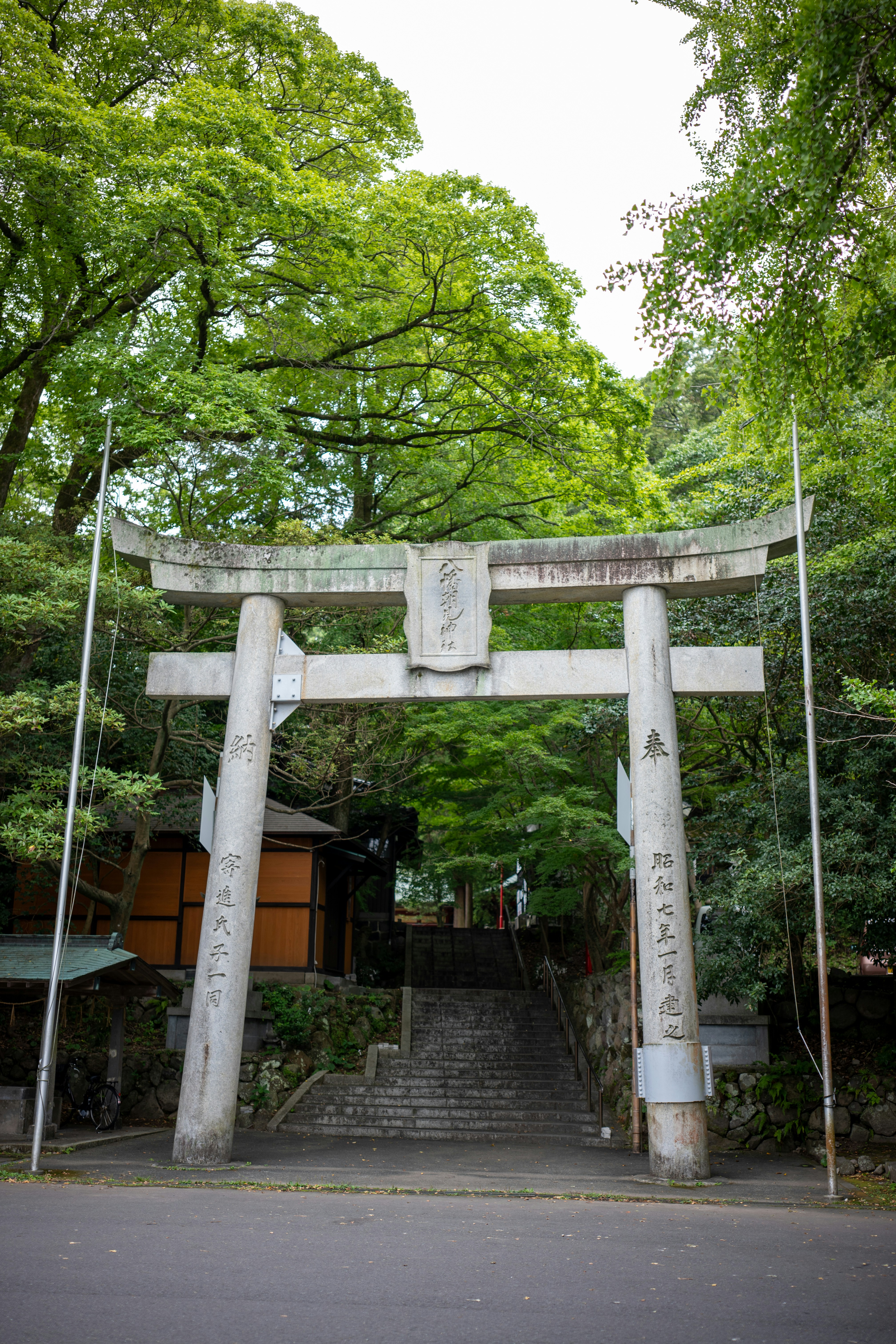 Stone Torii Gate Framed by Lush Greenery at a Shinto Shrine