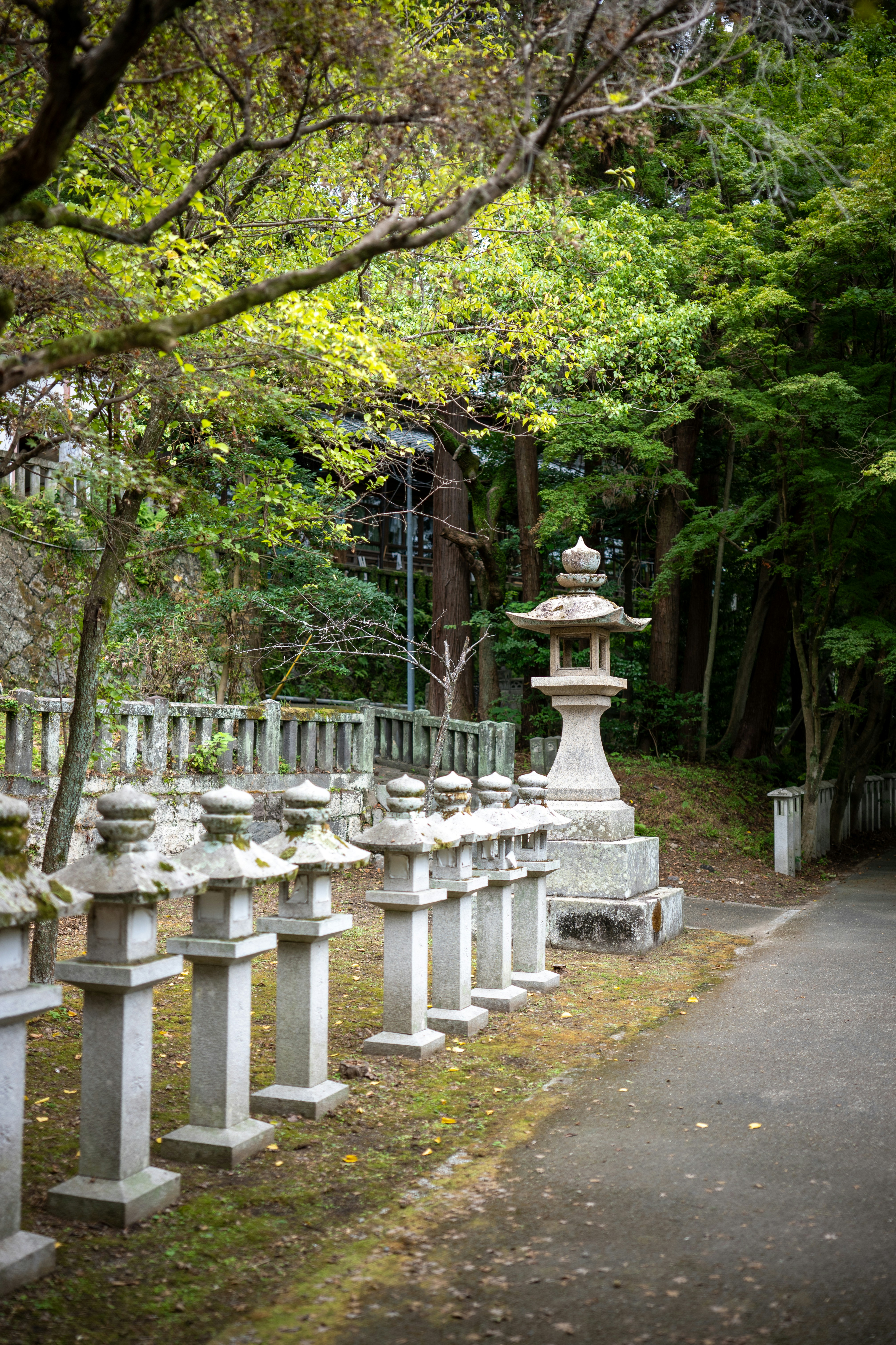 Stone Lantern Row at the Edge of a Quiet Japanese Garden Path
