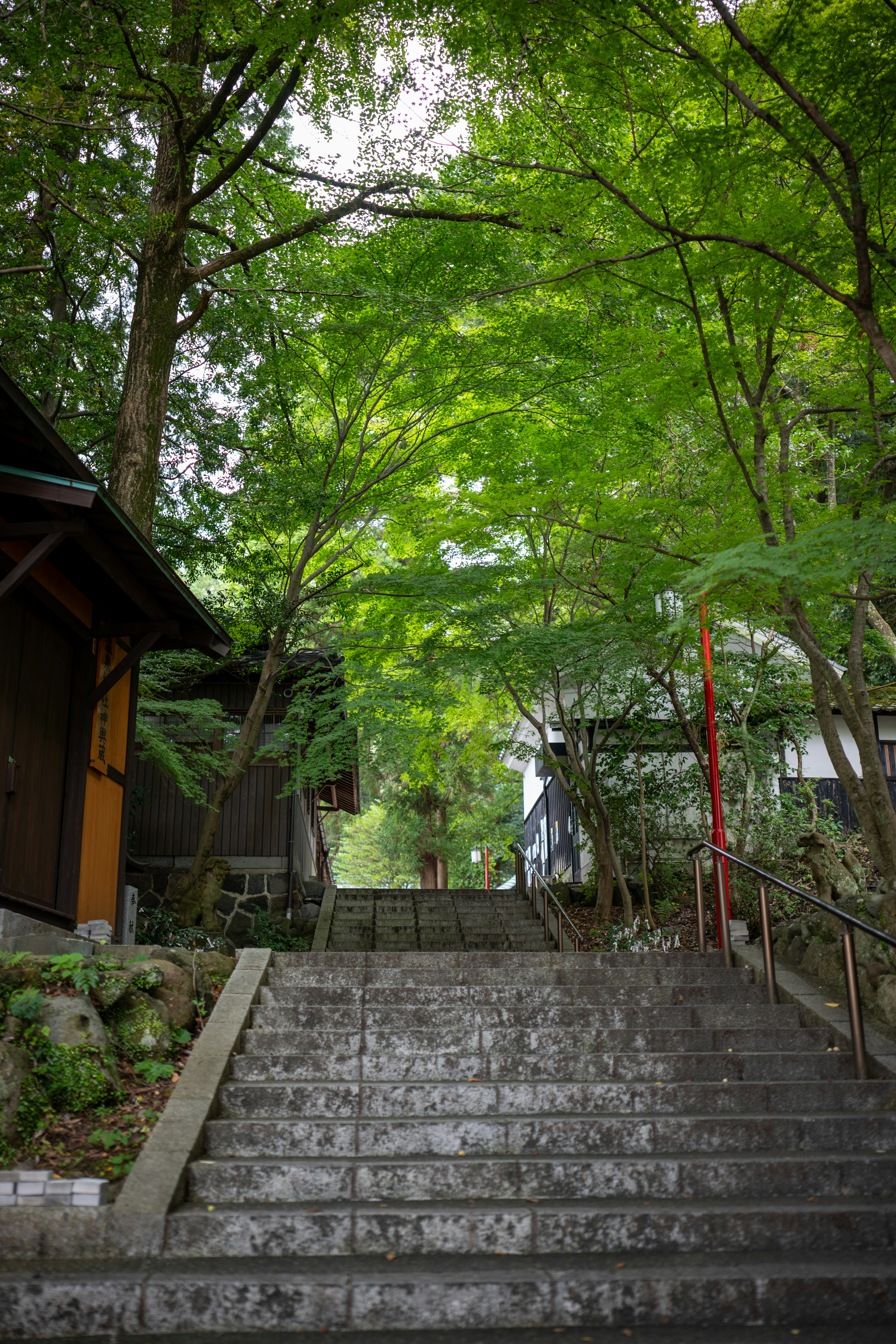 Stone Staircase into a Quiet Green Path