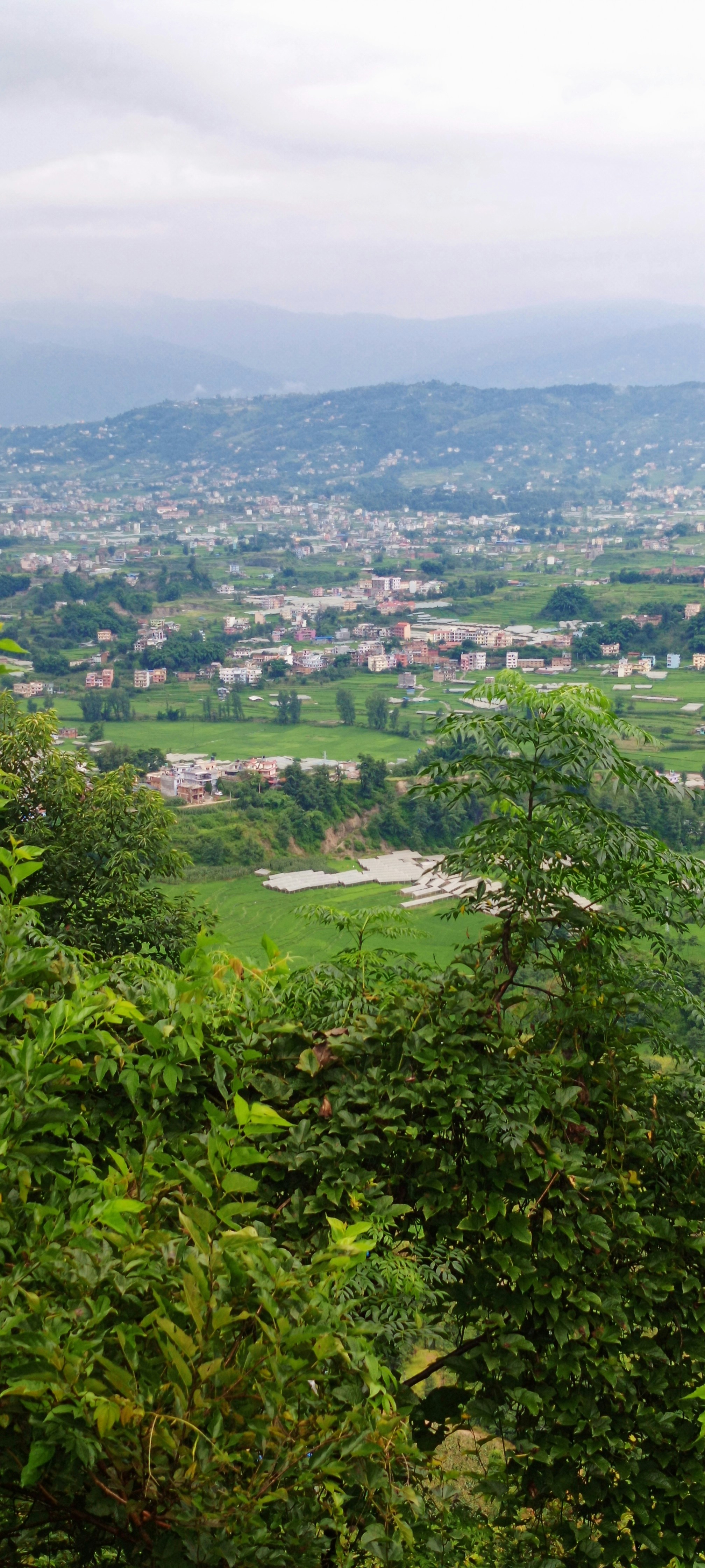 Lush hillside foreground with dense foliage overlooks a valley of farms and scattered buildings, extending to distant hills. A verdant, layered landscape dominates the scene with a soft, atmospheric sky.