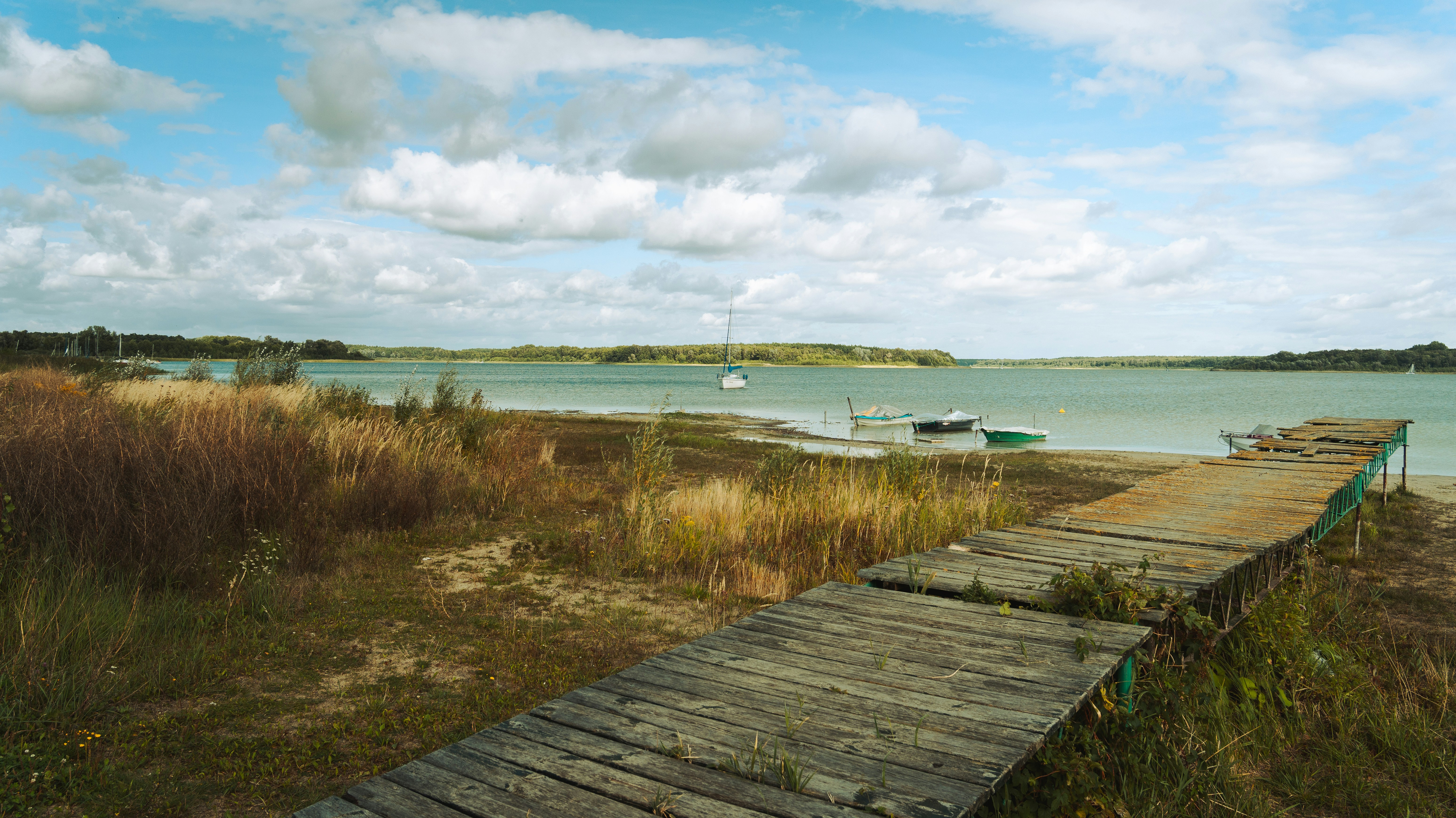 Tide-Washed Boardwalk to a Quiet Lagoon