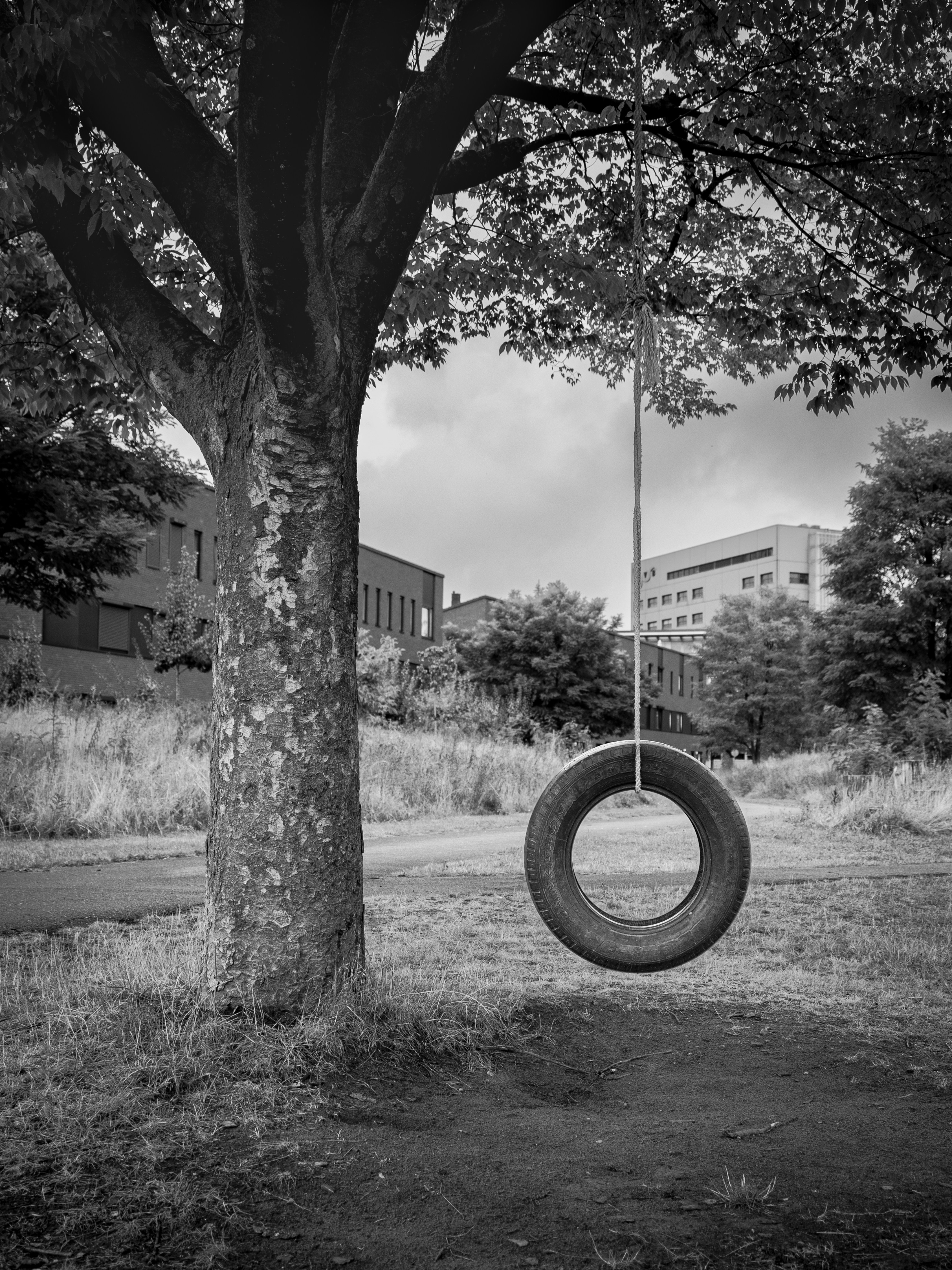 Tire Swing in Quiet Urban Park