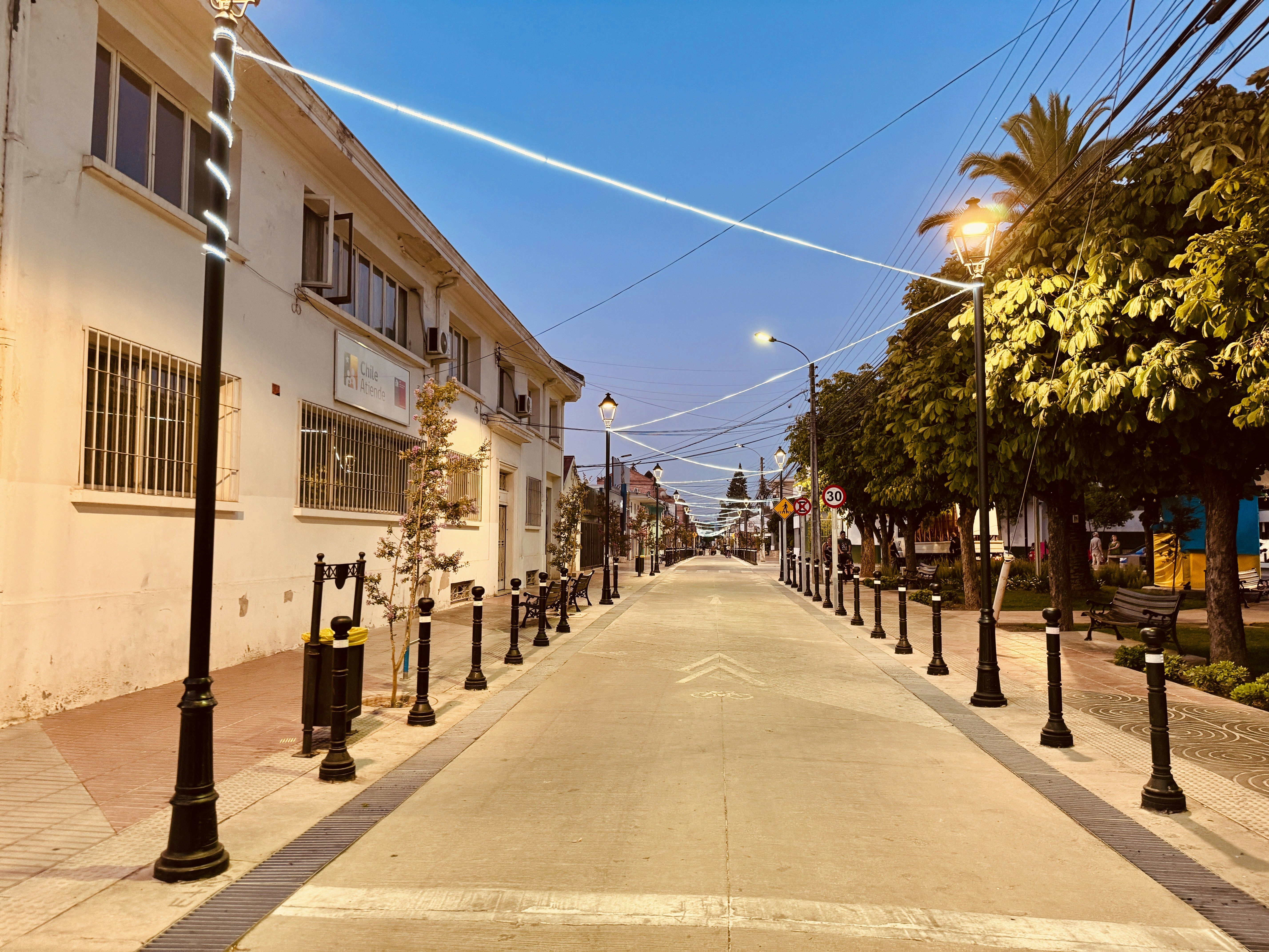 Quiet Boulevard Under Evening Glow
