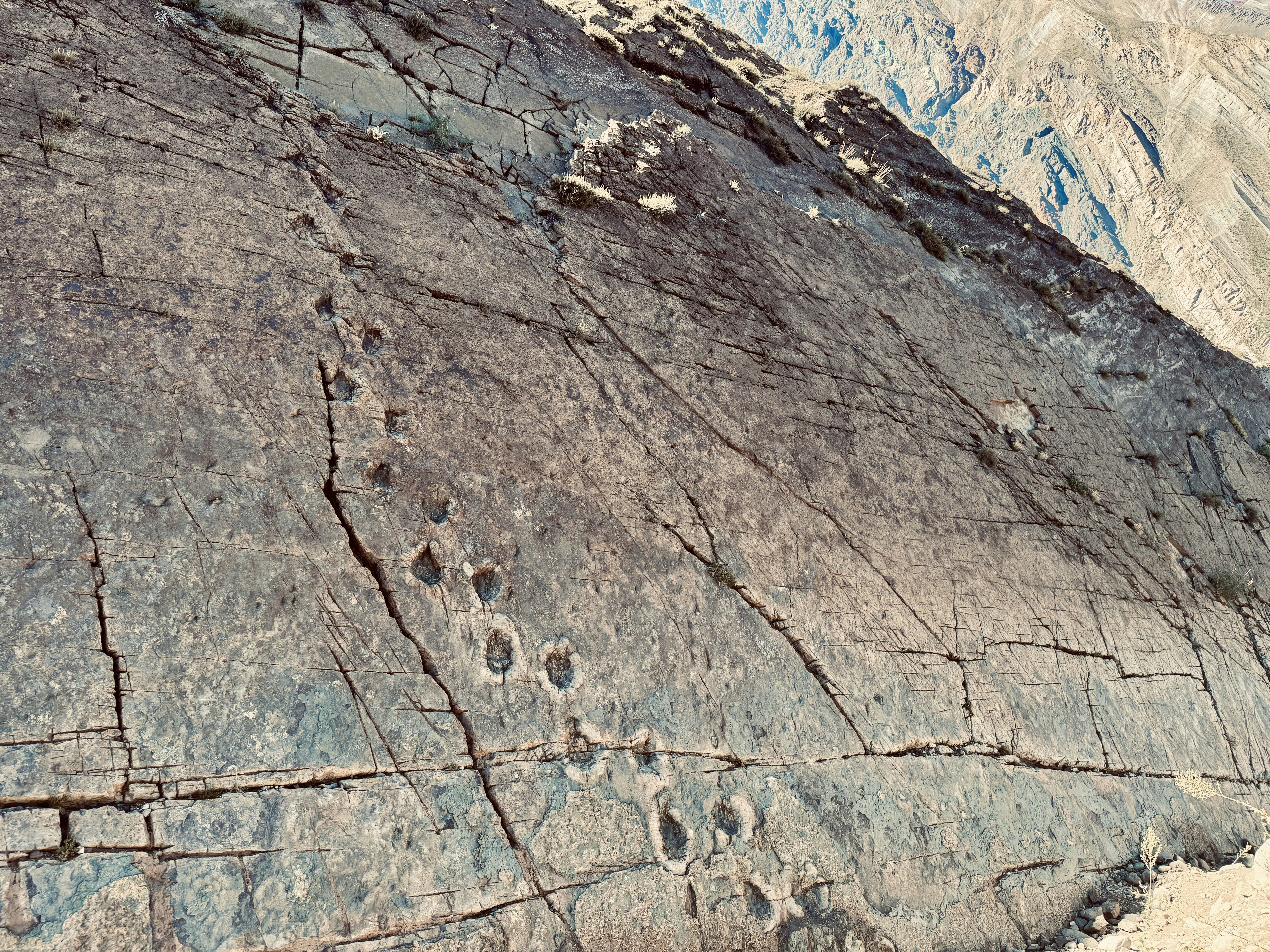 Weathered rock with a line of small, spaced marks and faint footprints across a rugged cliff face. Aerial perspective highlights mineral hues and surface texture while maintaining a natural, untouched feel.