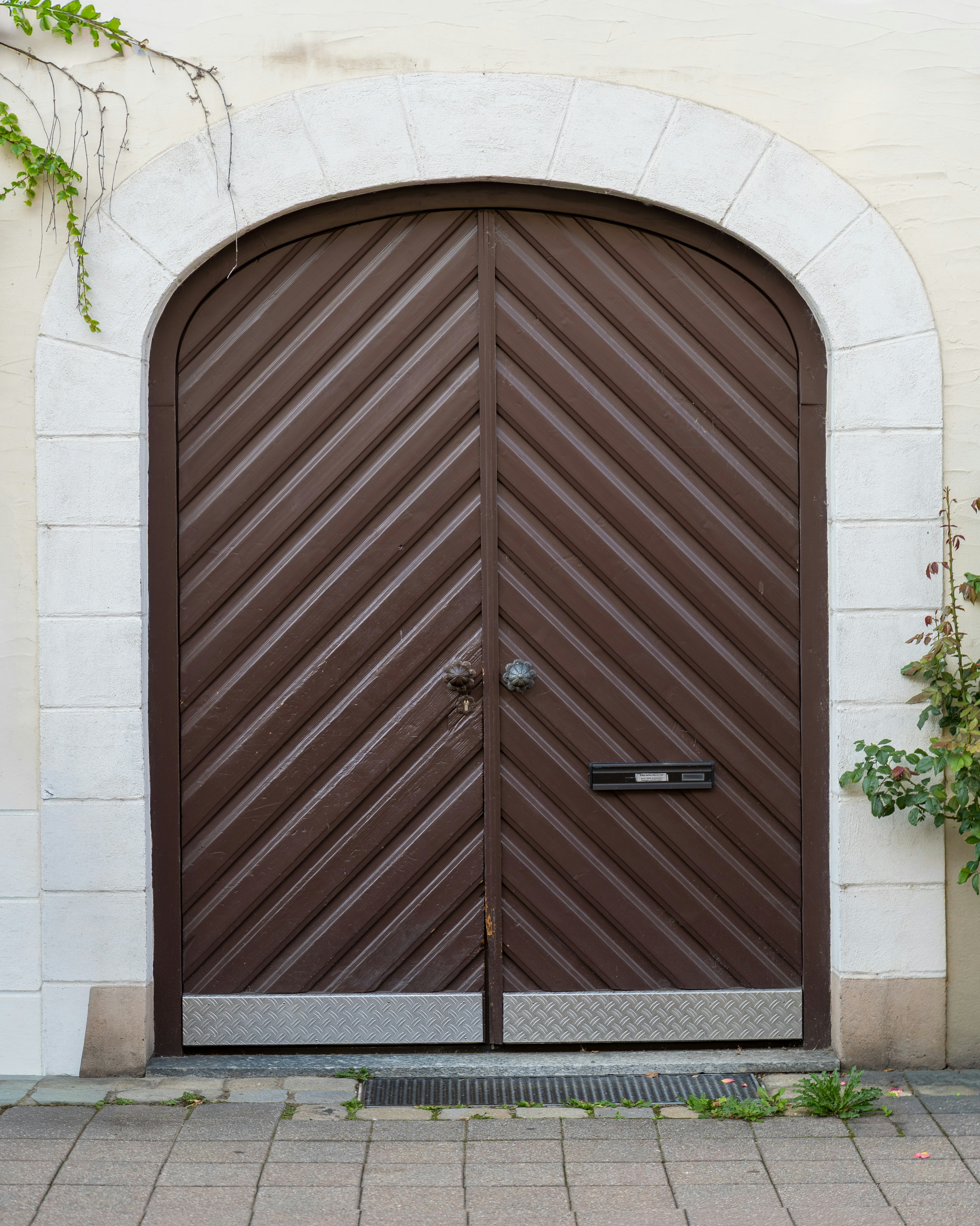 Brown diagonal-chevron door set in a pale stone arch with a small metallic mail slot, greenery on sides and a tiled threshold.