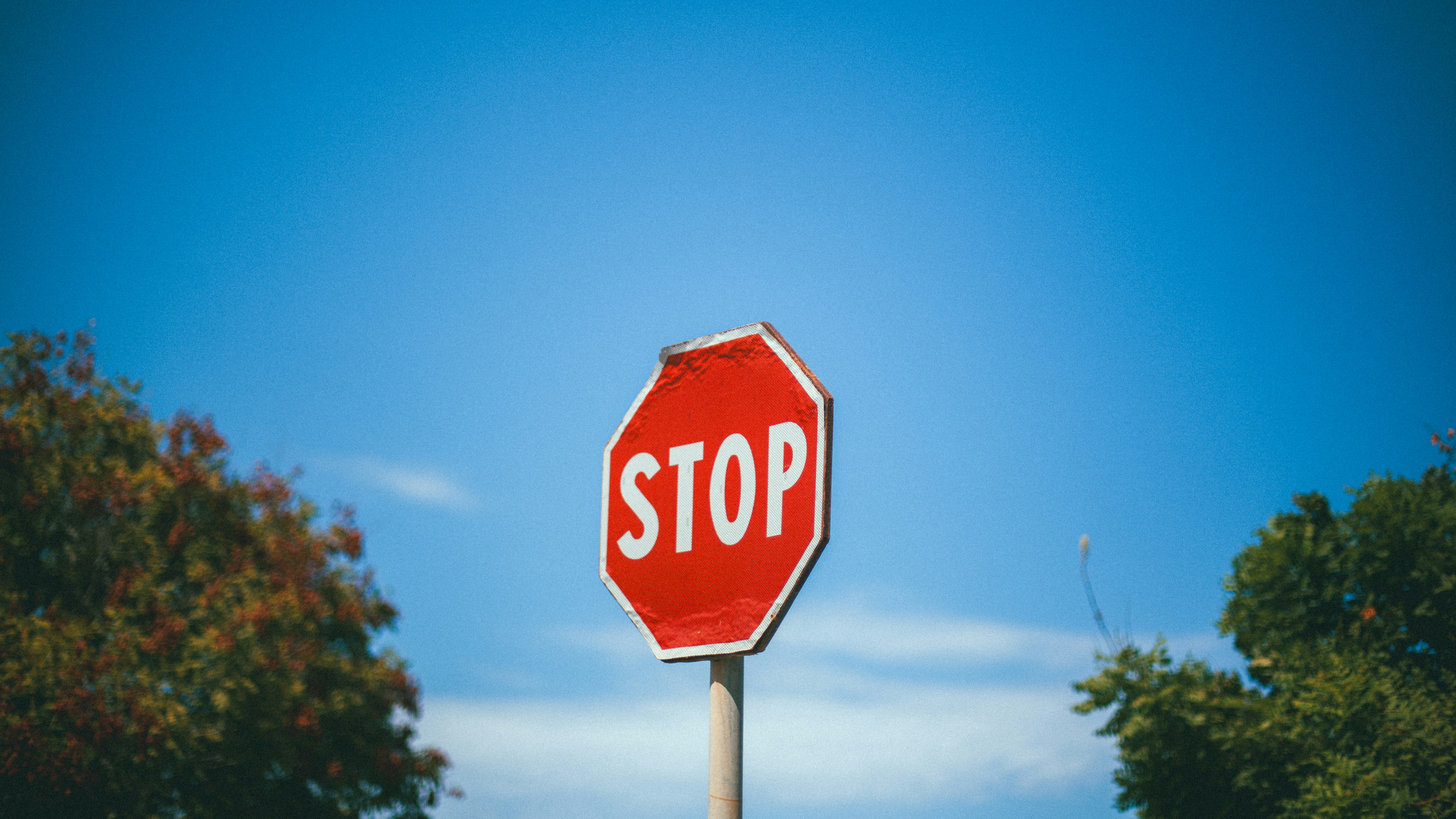 Red Stop Sign Framed Against a Clear Sky