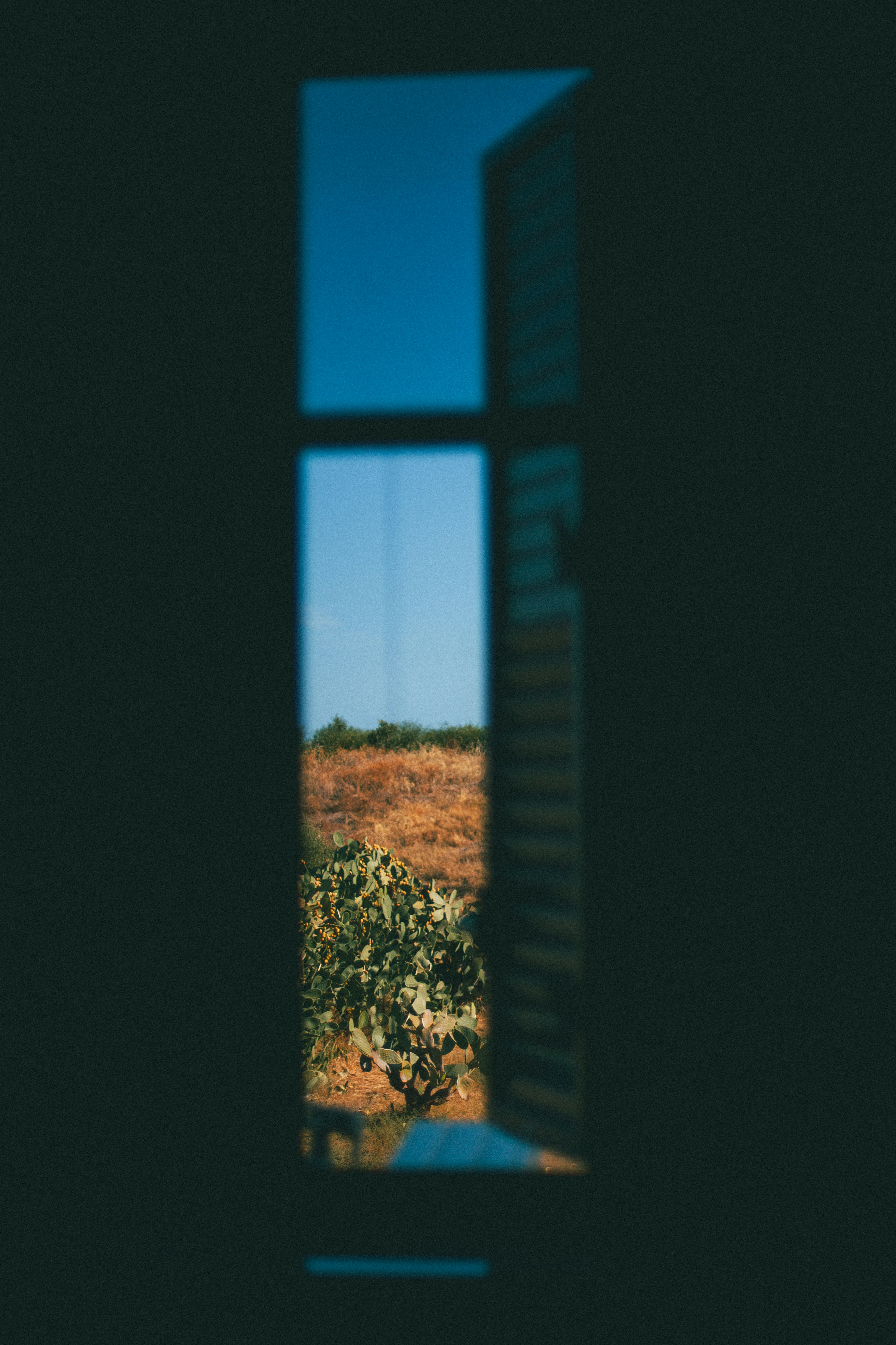 Through a Narrow Window: Sunlit Vineyard Beyond a Dark Silhouette