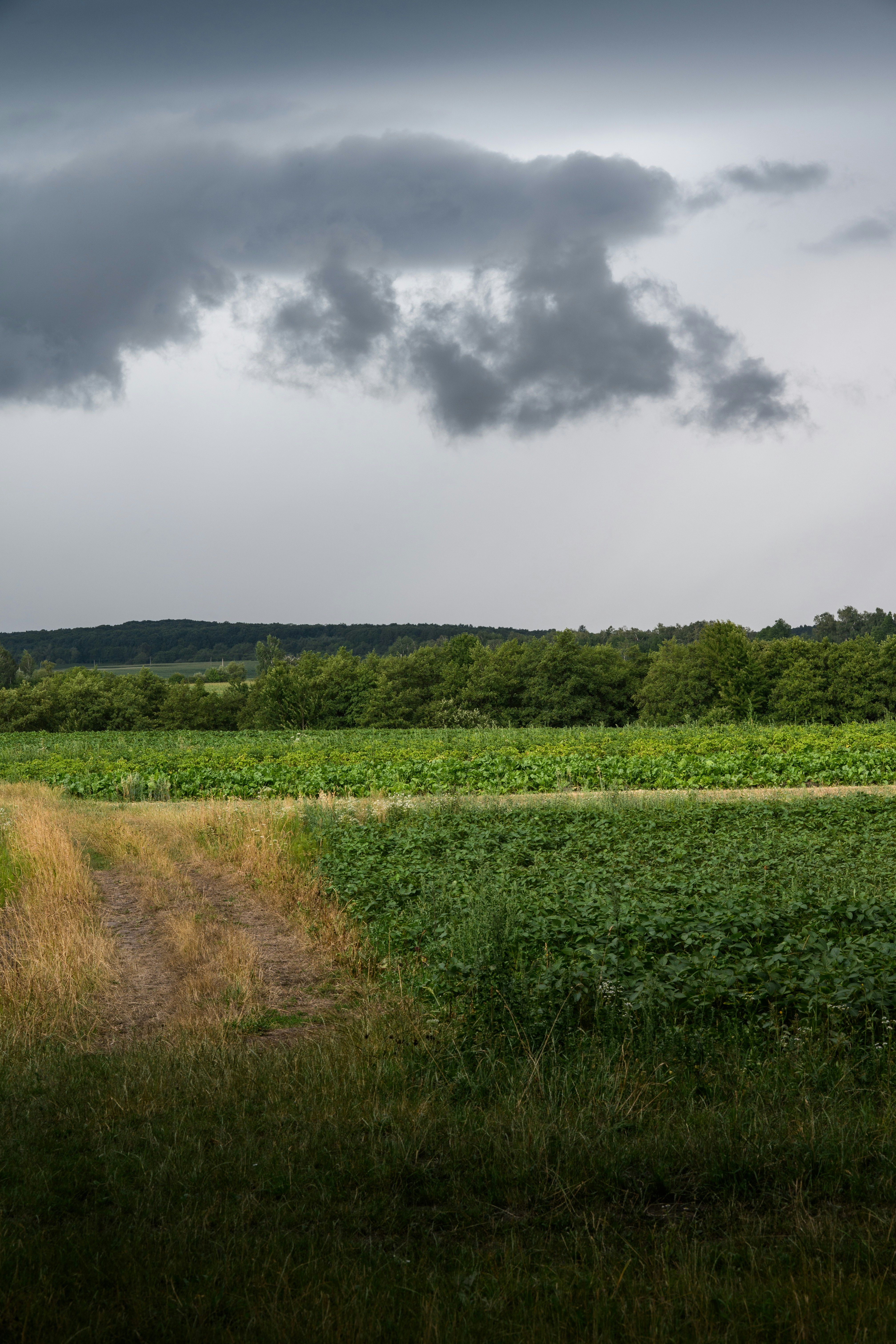 Midfield Horizon under a Growing Storm