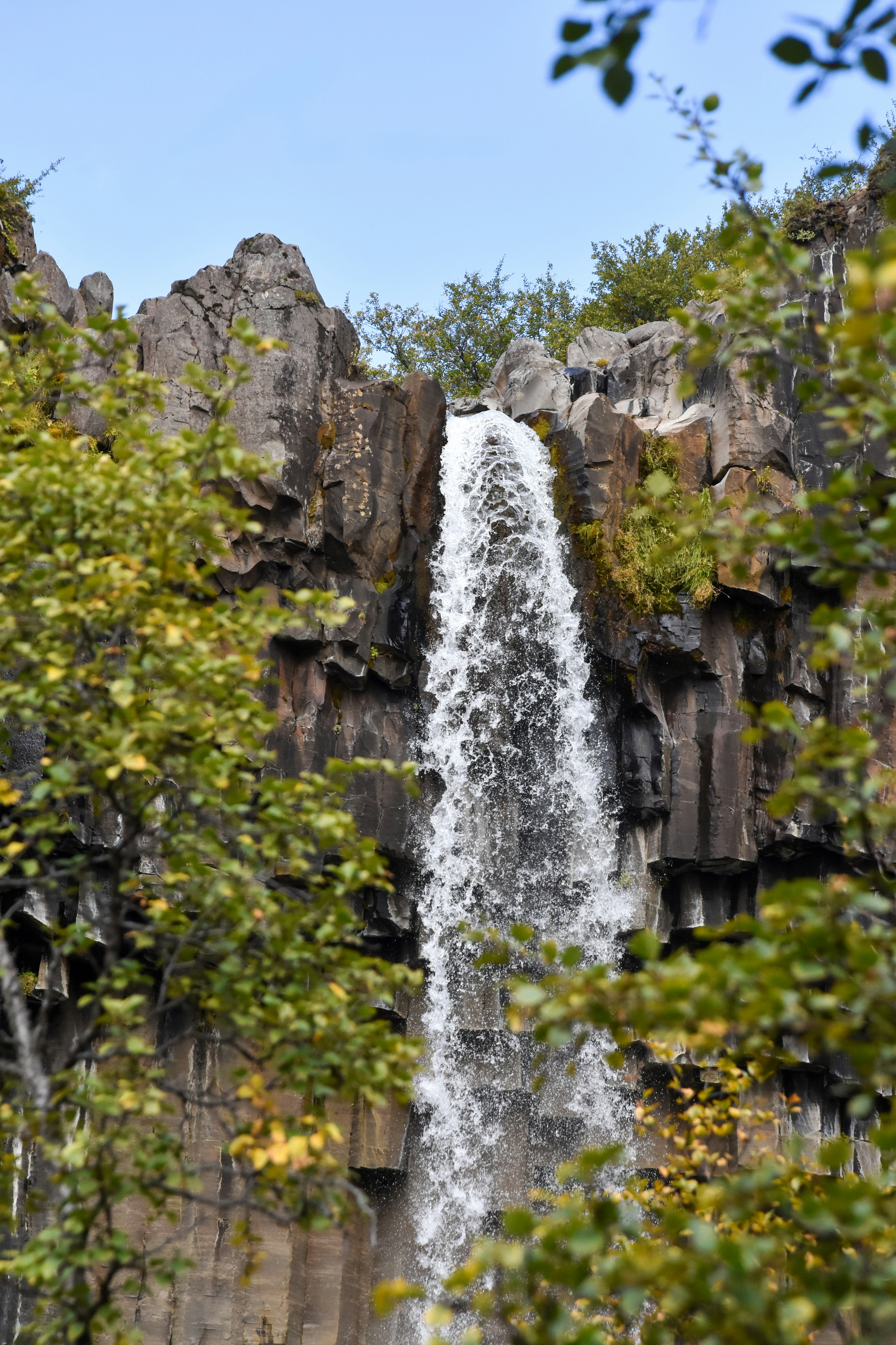 Central Cascade: White Ribbon of Water Between Hexagonal Basalts