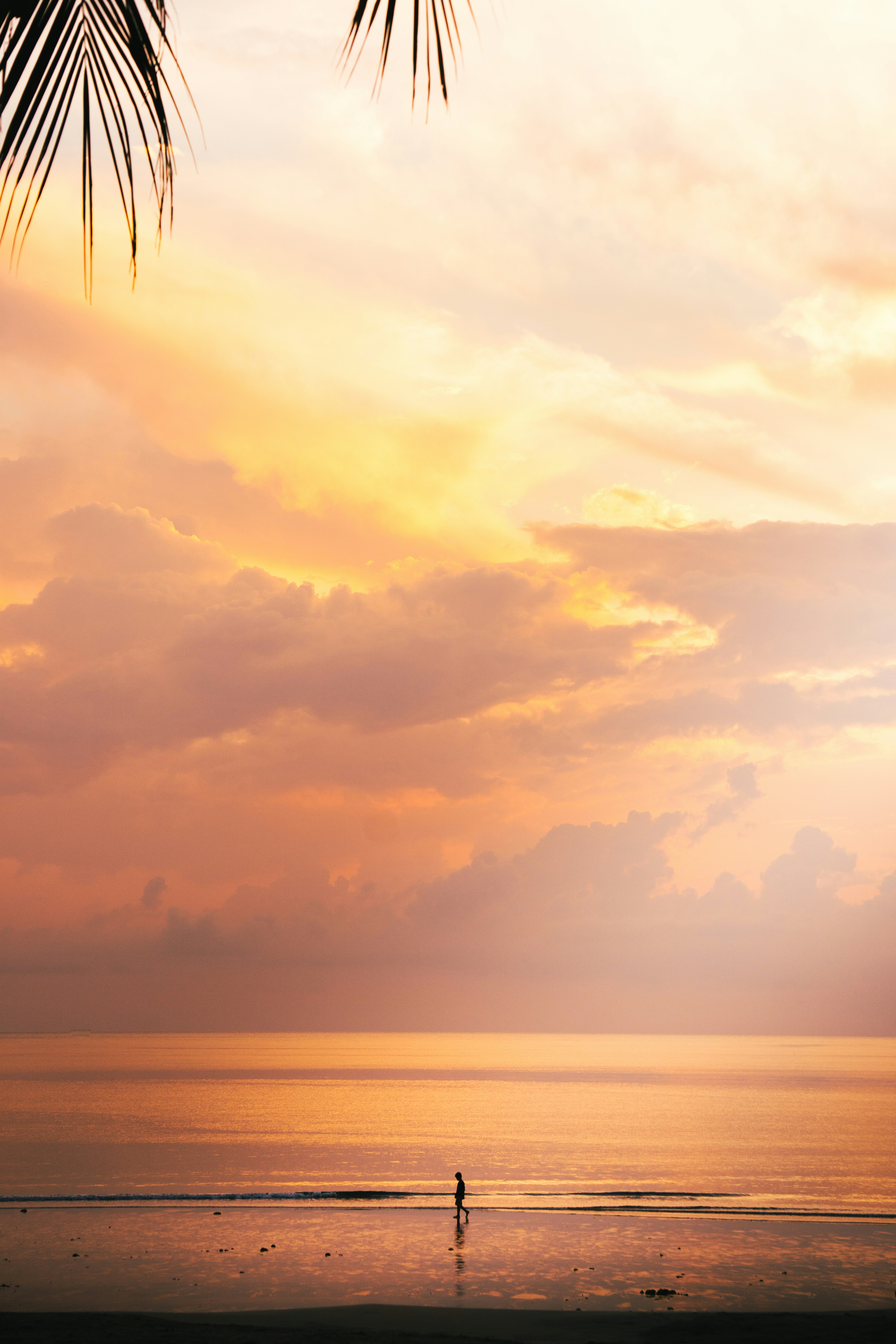 Solitary Figure at Dusk: A Quiet Horizon on Warm Tides