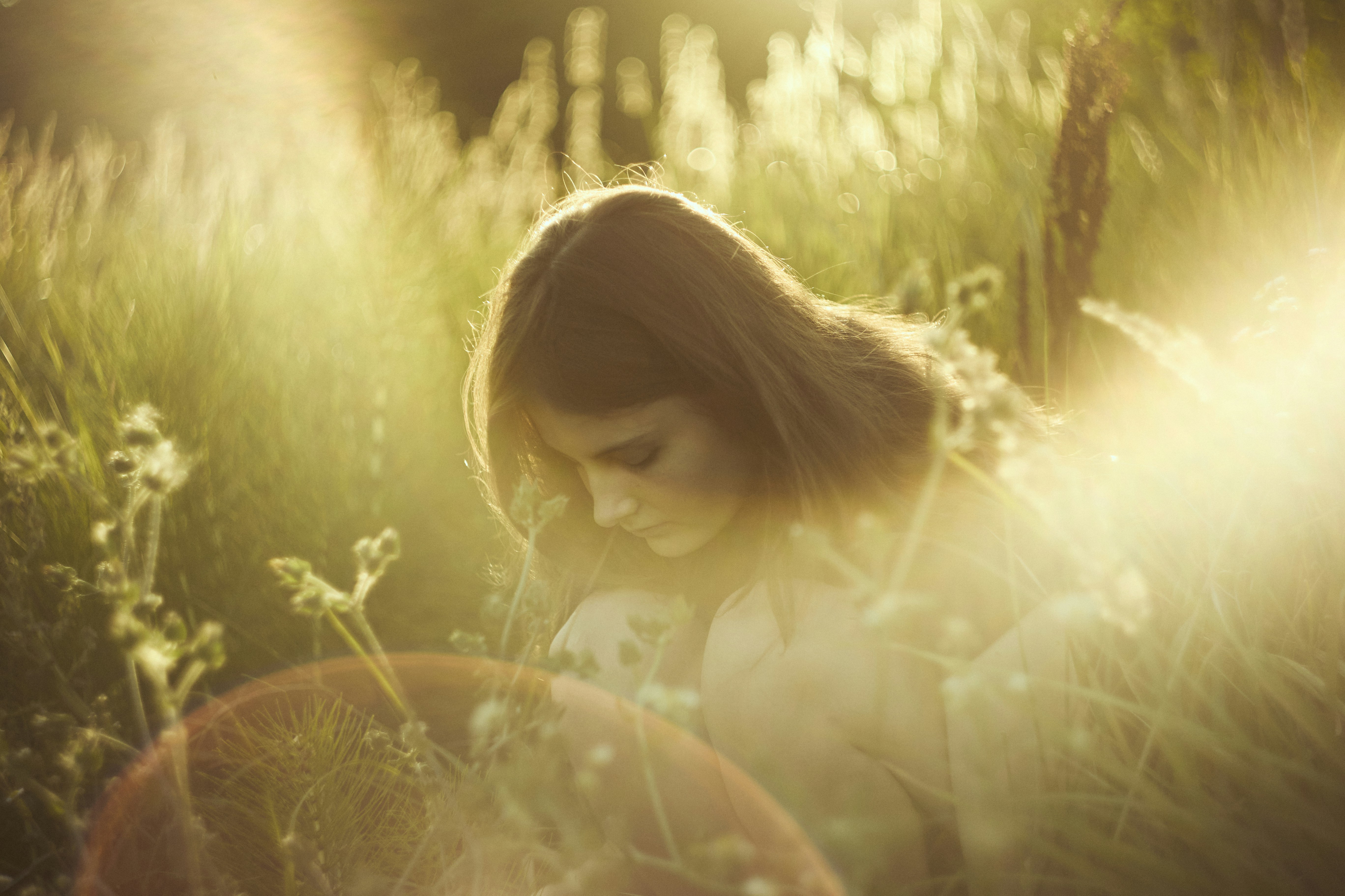Whispering Prairie: A Quiet Moment in Sunlit Golden Hour