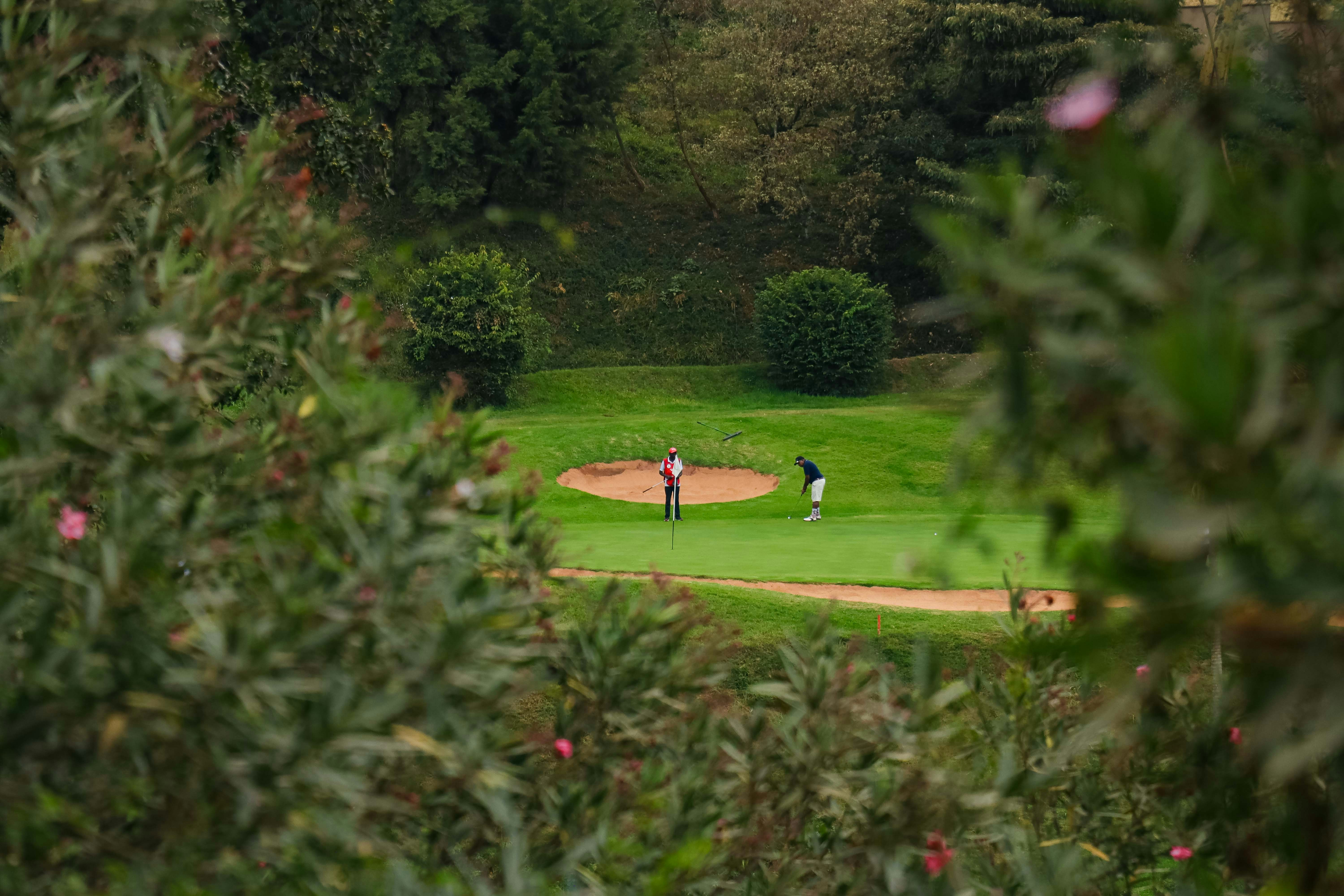 Fairway Pause: Golfers in a Framed Garden of Greens