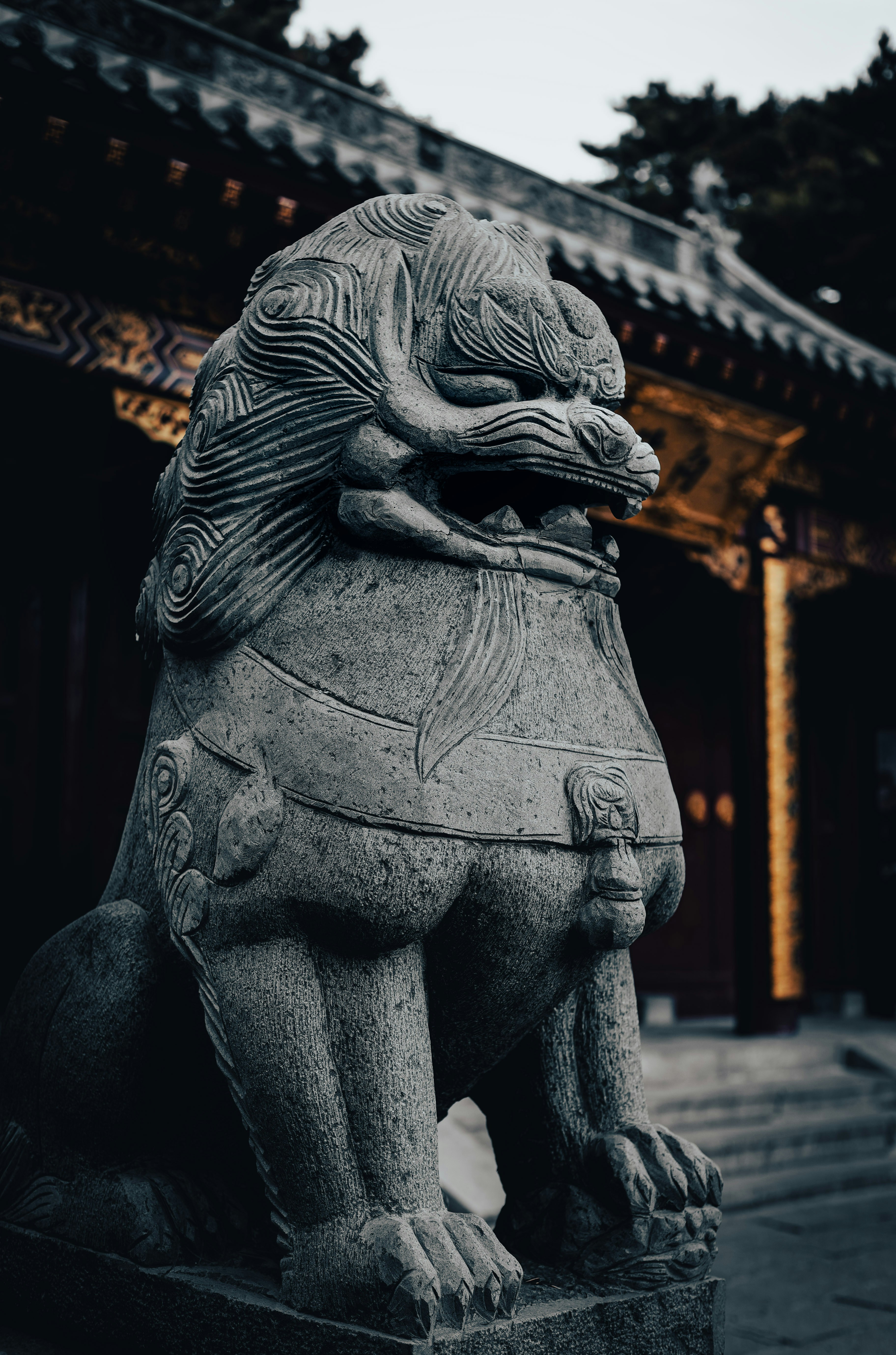 Guardians of Stone: A Dragon-Lion Stares Across the Steps