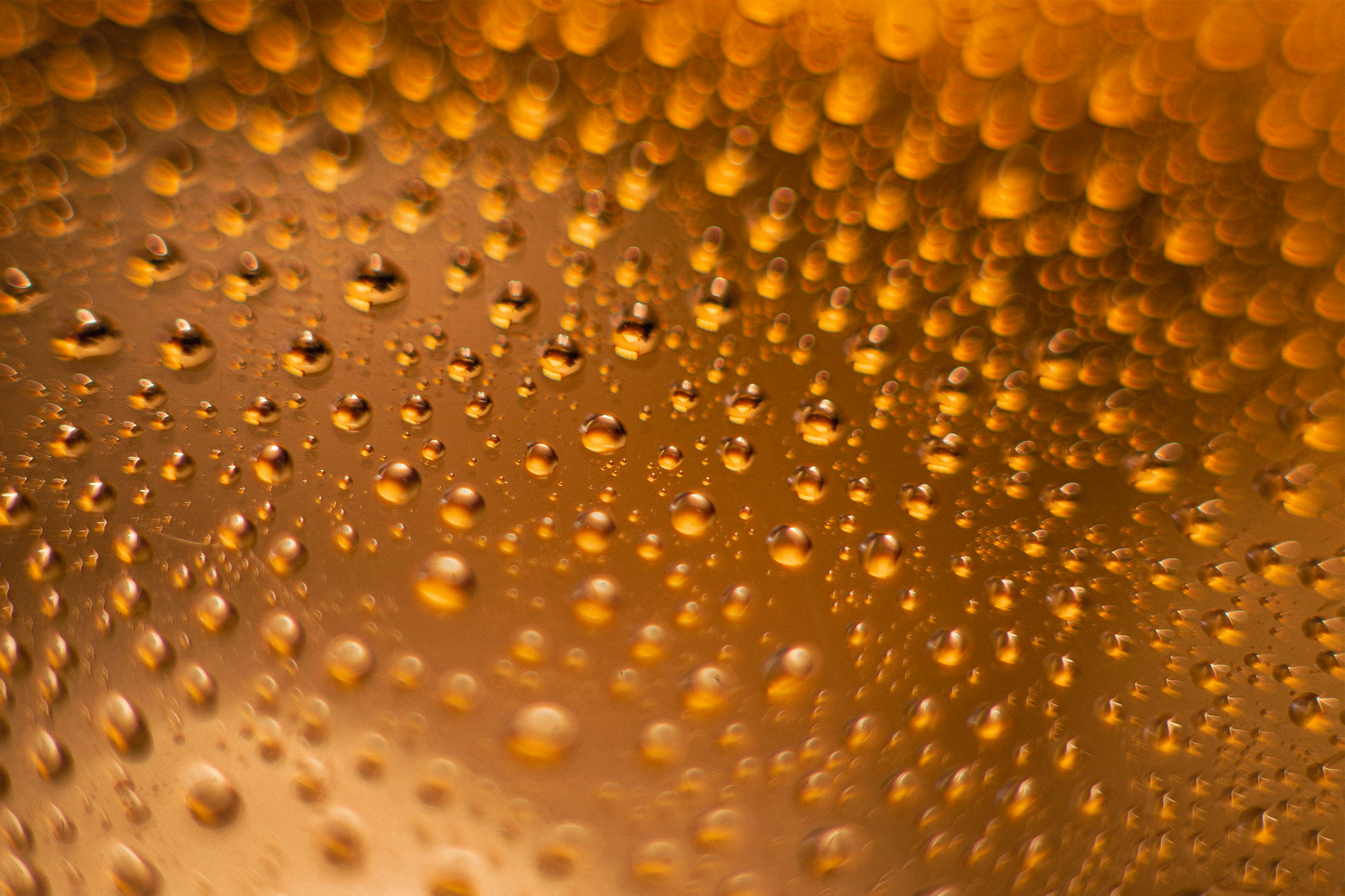 Golden Bubbles on Warm Glass
