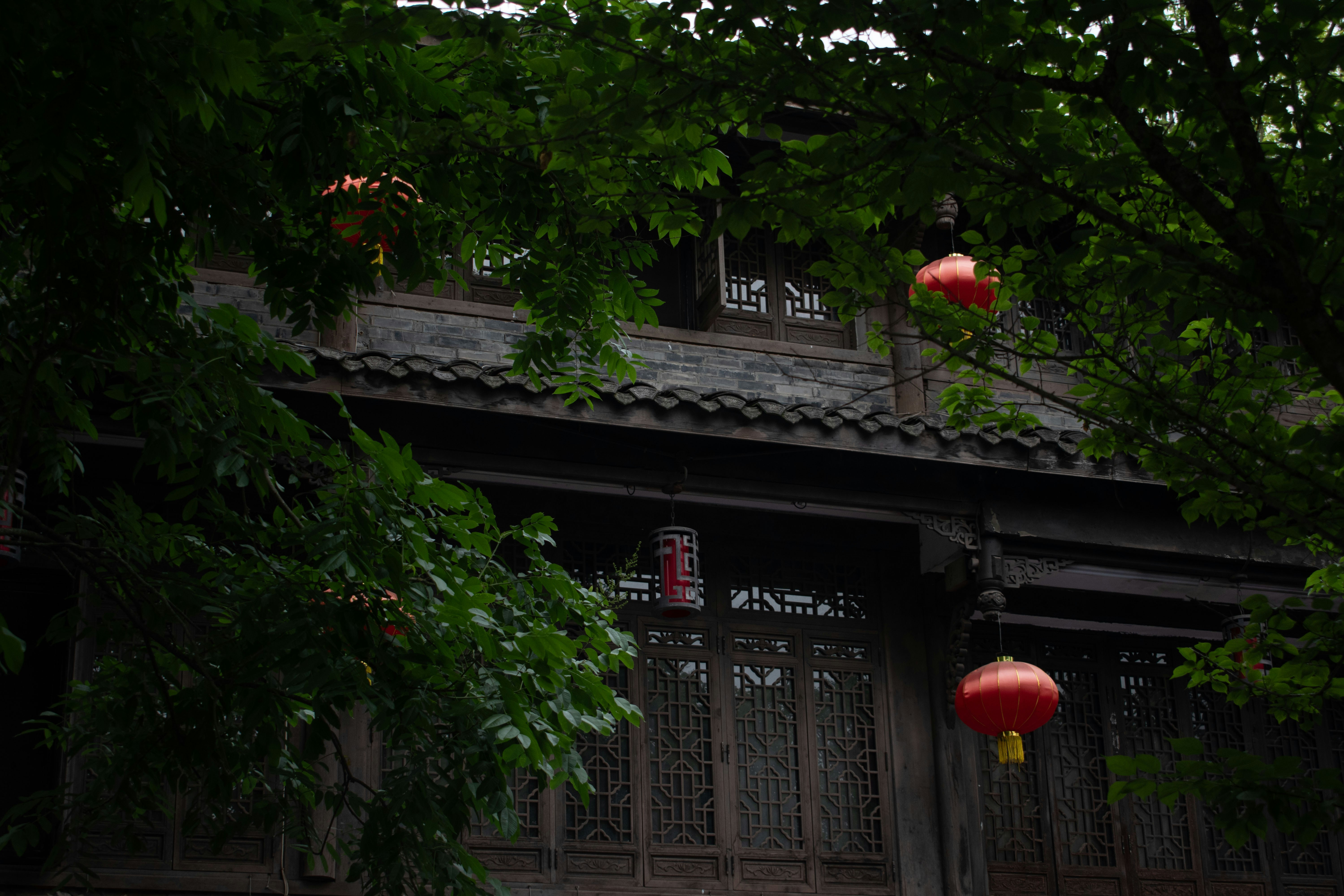 Red Lanterns in a Shaded Courtyard