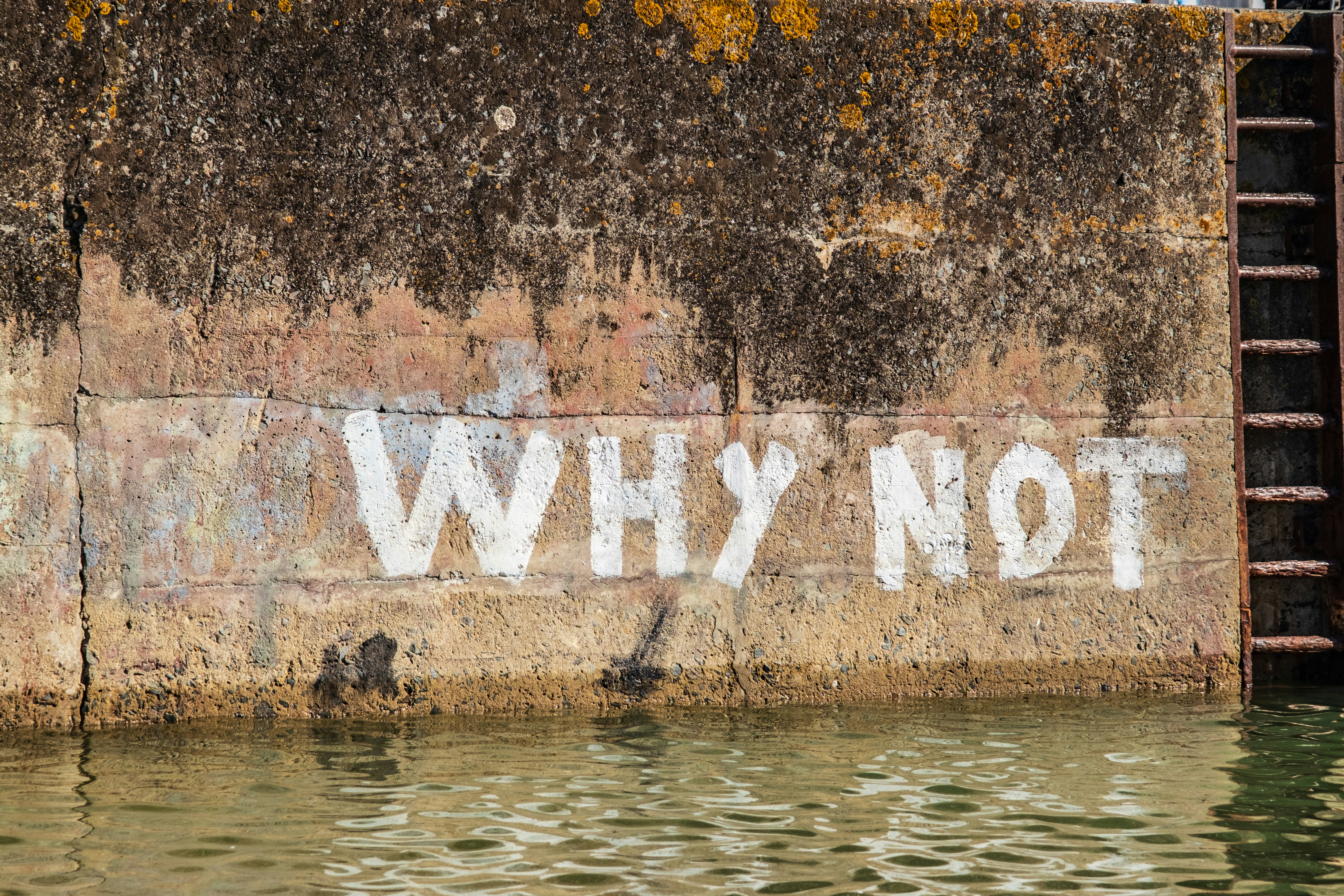 Why Not: Graffitied Wall Over Waters Edge