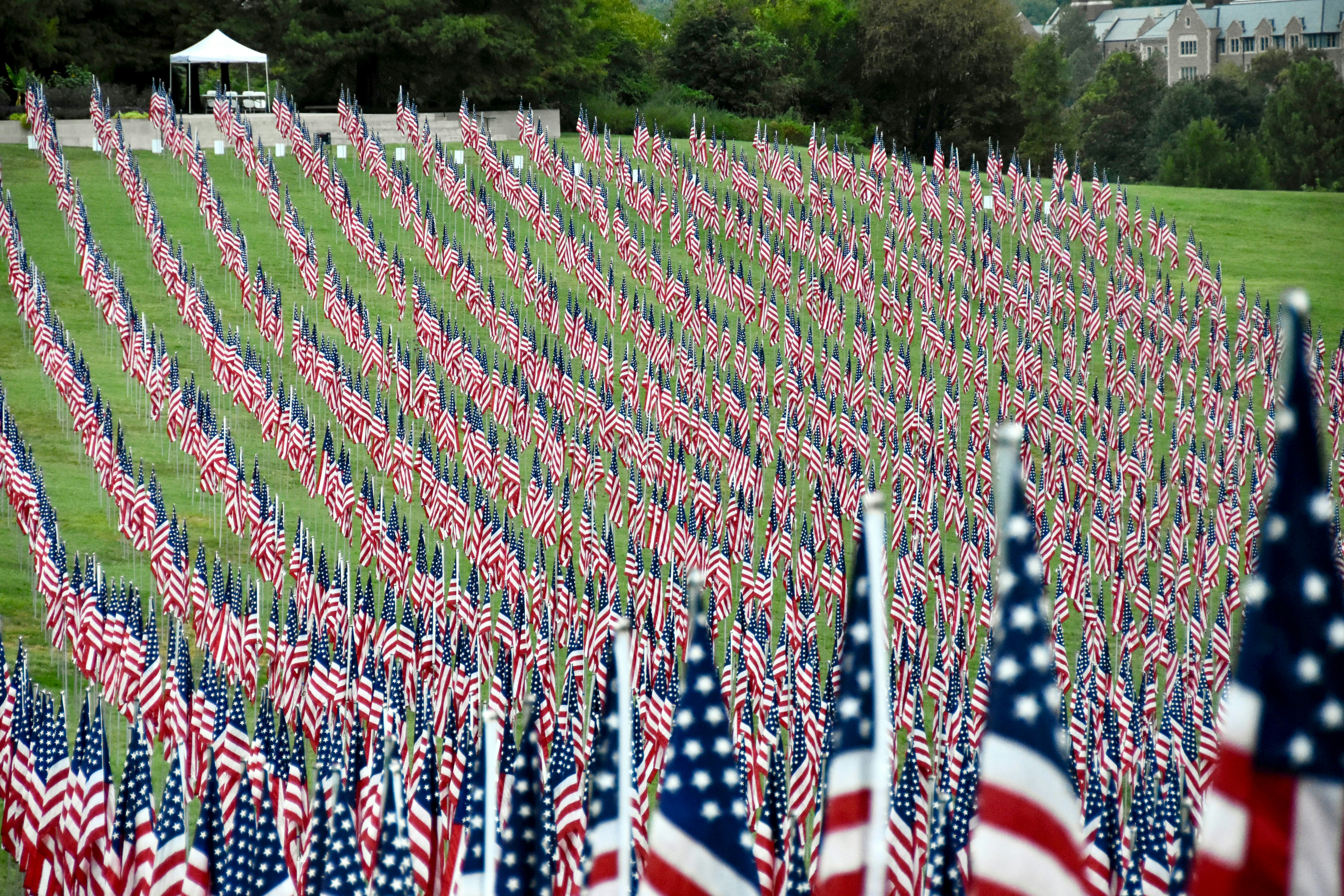 A vast field of small American flags planted in a grassy park, creating a dense, diagonal landscape of red, white, and blue in tribute style.