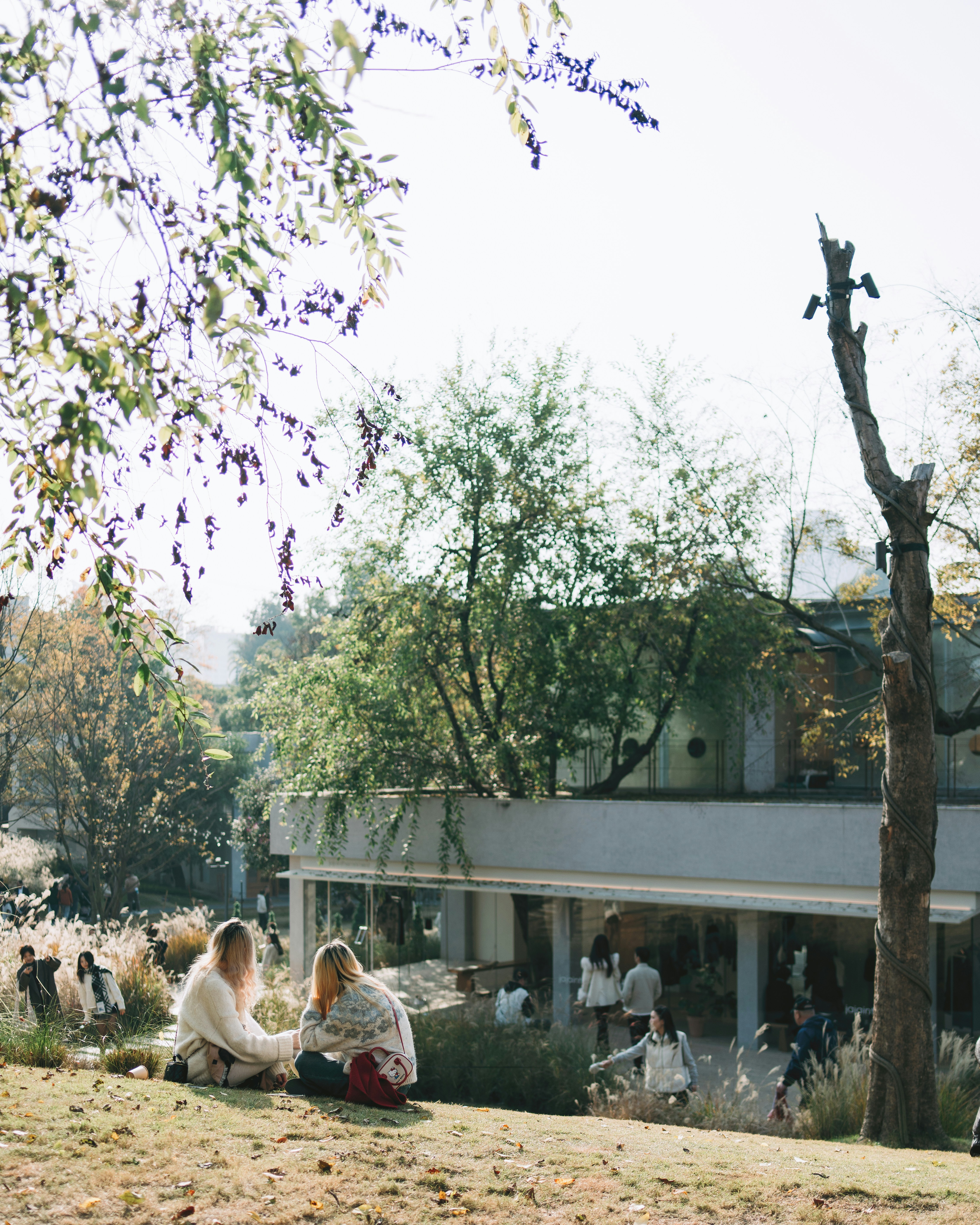 Two friends sit on a grassy slope chatting near a modern courtyard with trees and a low building in soft daylight.
