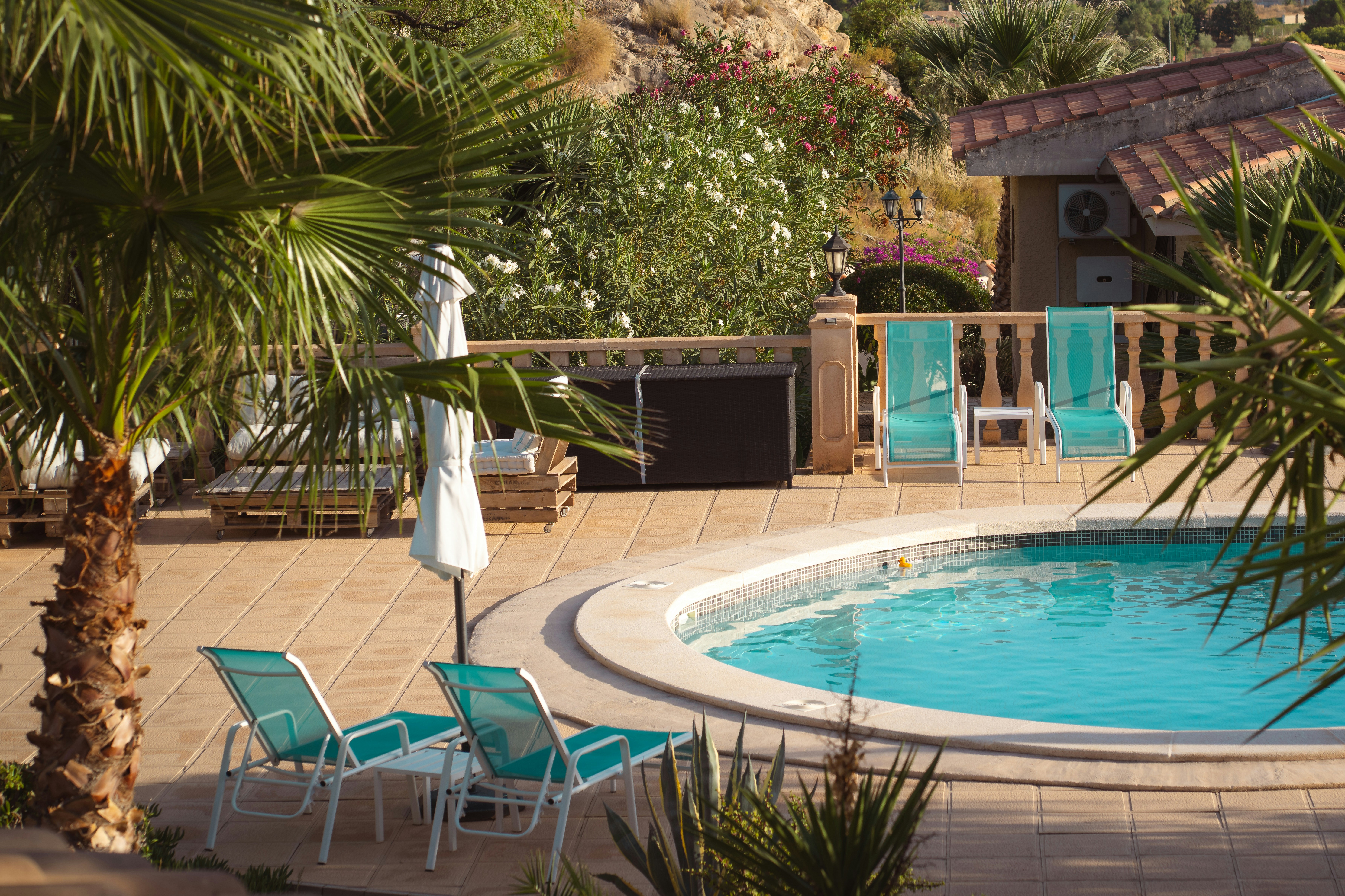 Teal Lounge by the Poolside Oasis