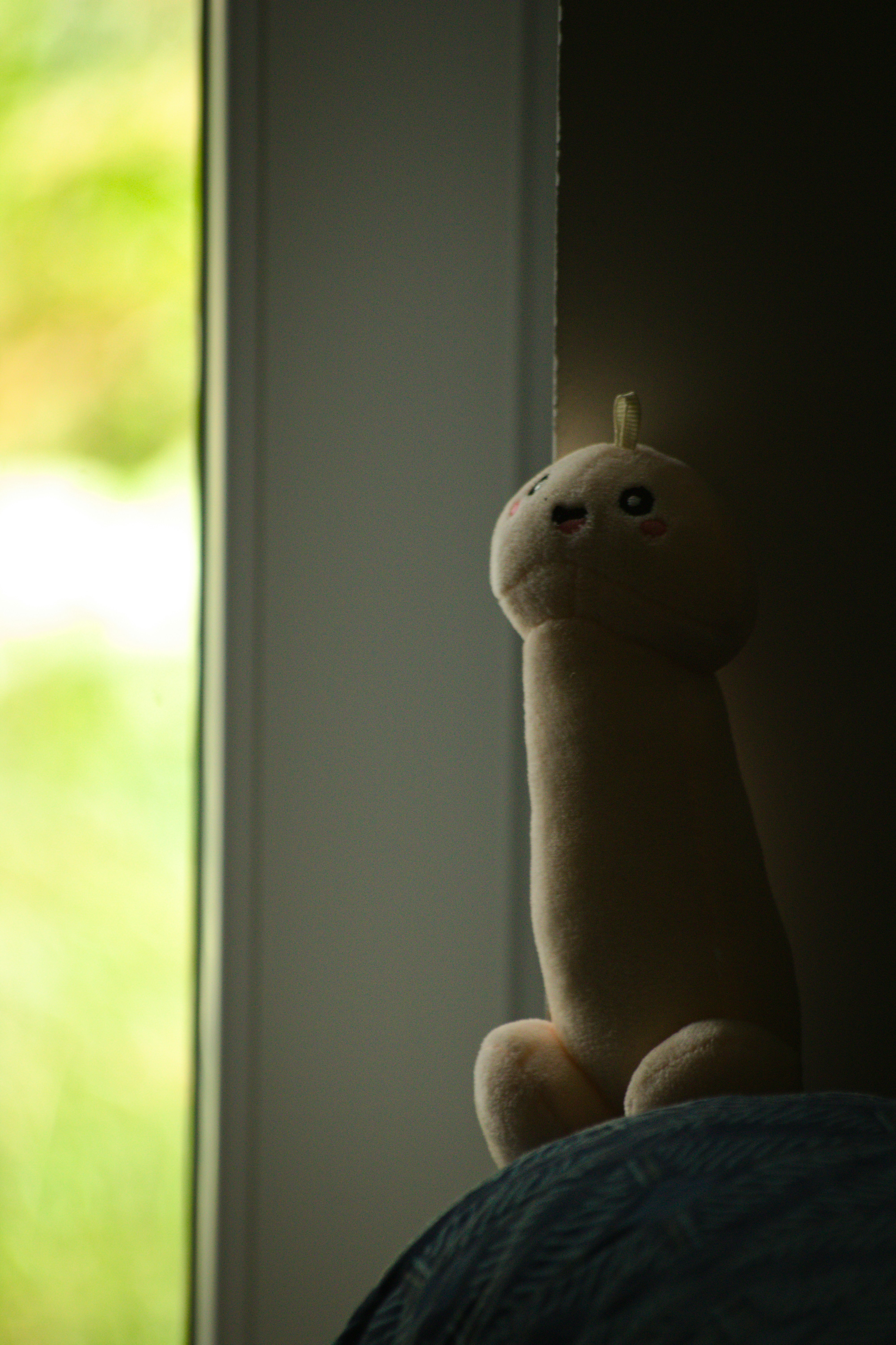 Photo by Dorian Labbe with Canon EOS 2000D