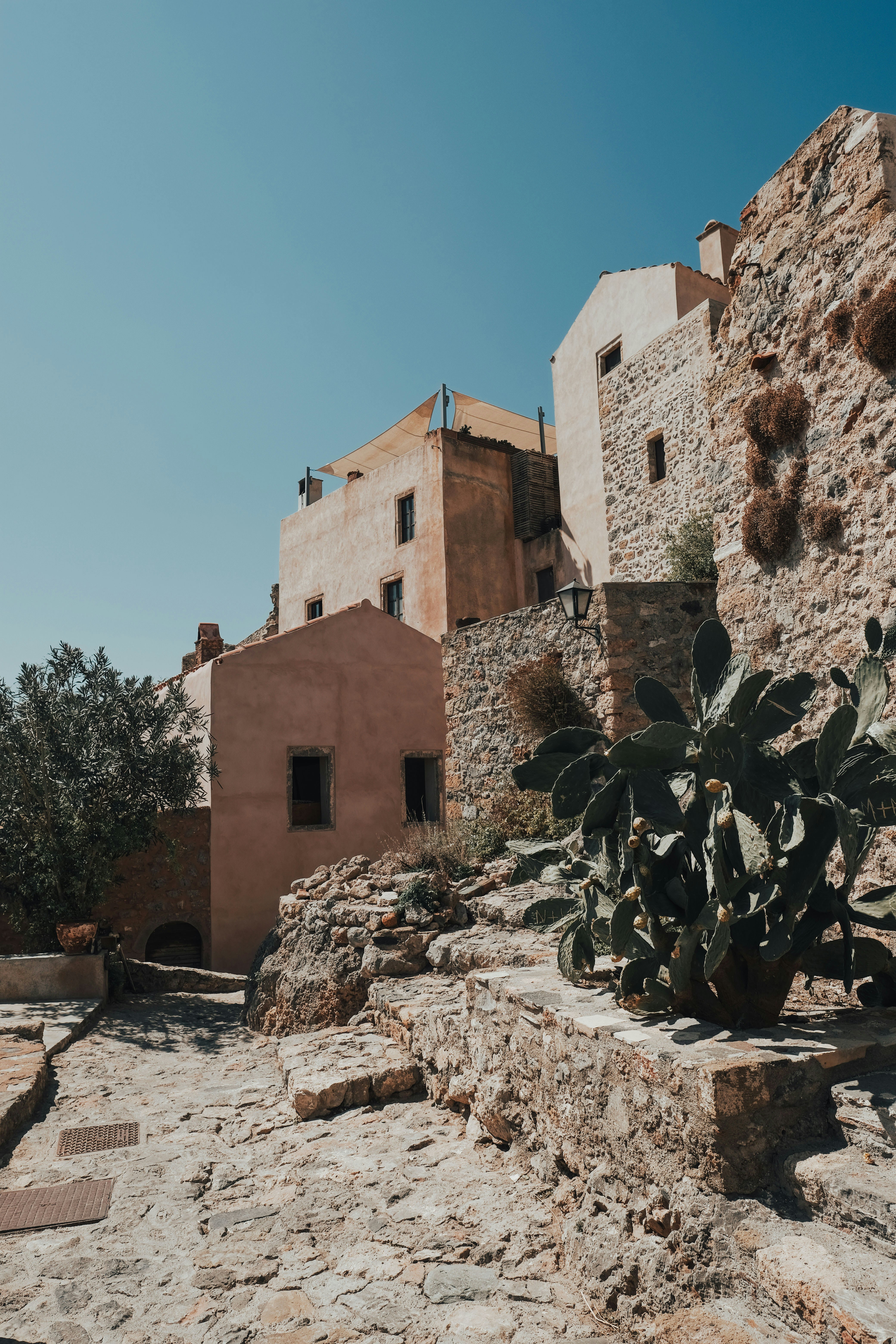 Sunlit stone buildings and a large prickly pear cactus rise from a rugged courtyard under a clear blue sky; the scene emphasizes warm-toned walls, textured masonry, and ancient stone steps.