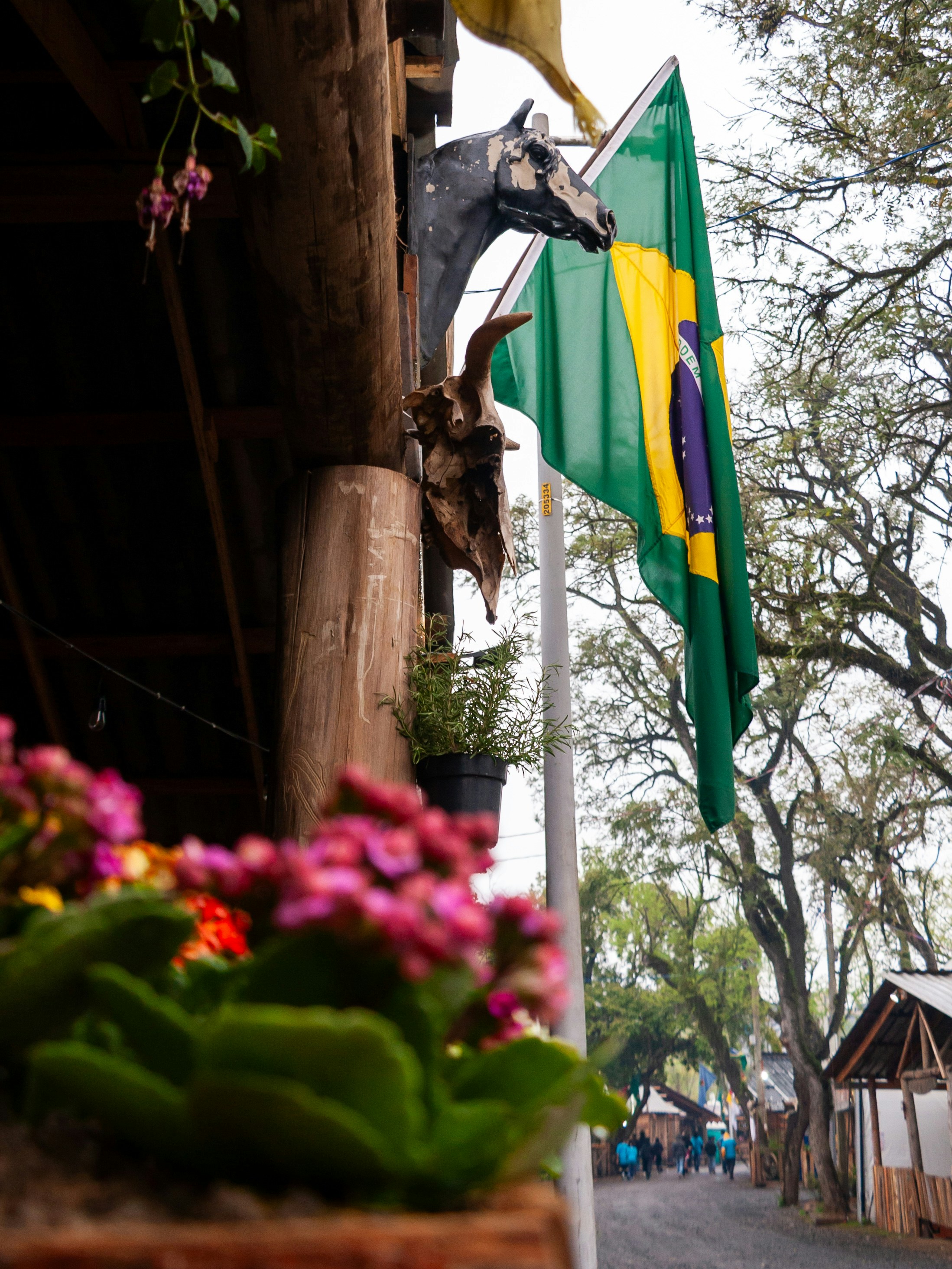 Brazilian Flag Above a Rustic Street Scene with Hanging Sculptures