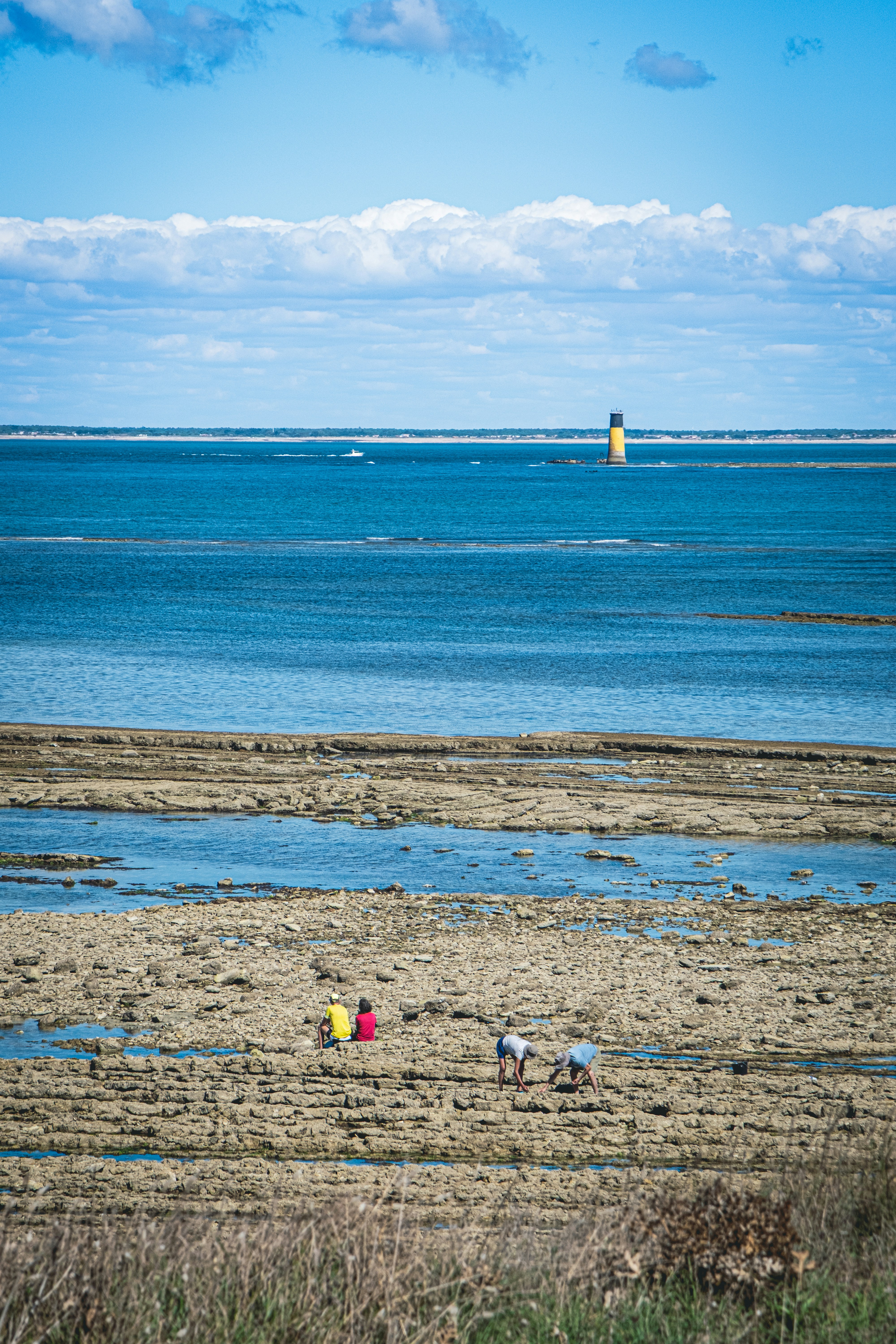 Children in tide pools under a blue coastal sky