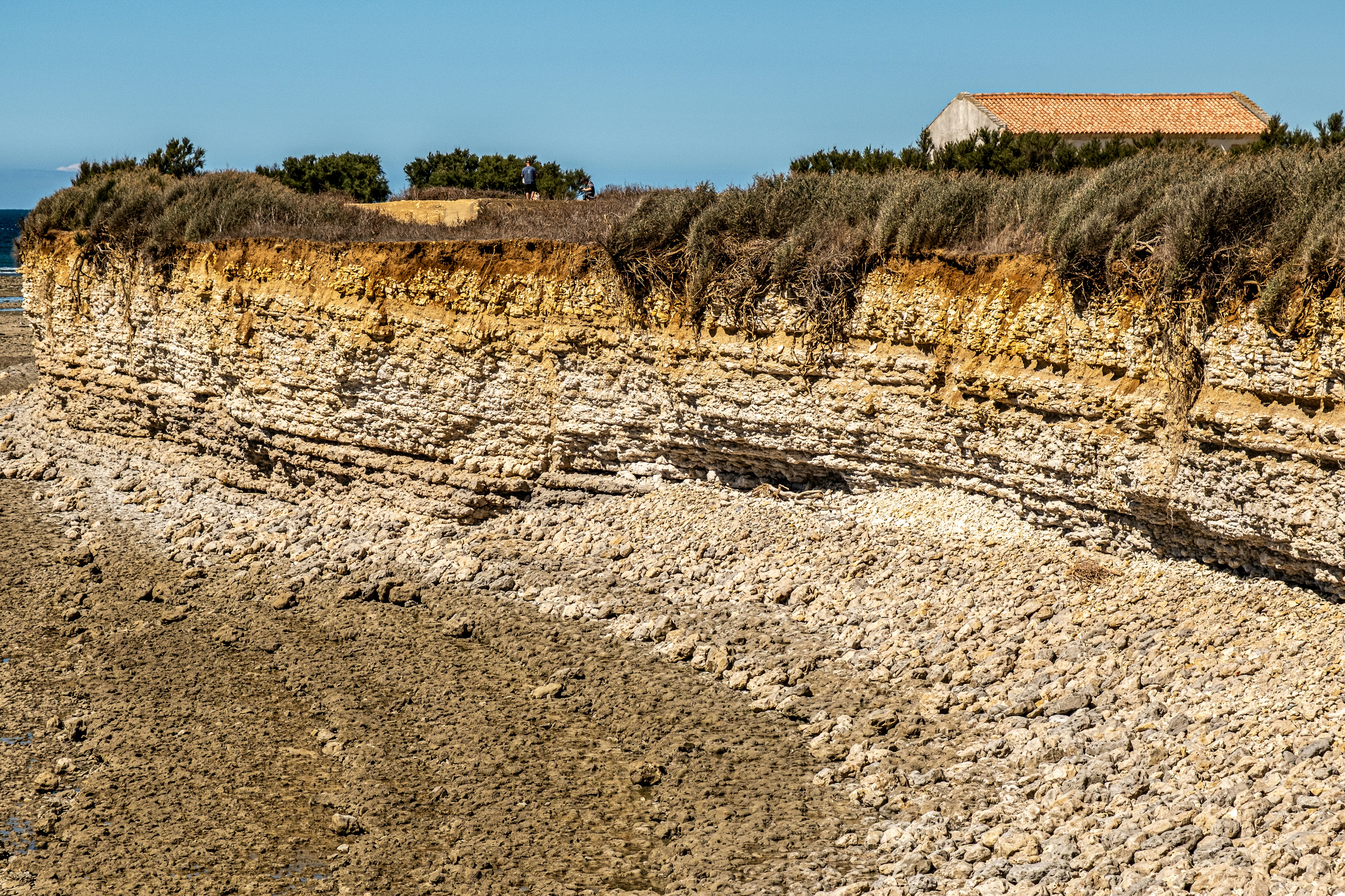Coastal Cliffs and Pebble Shore at Noon