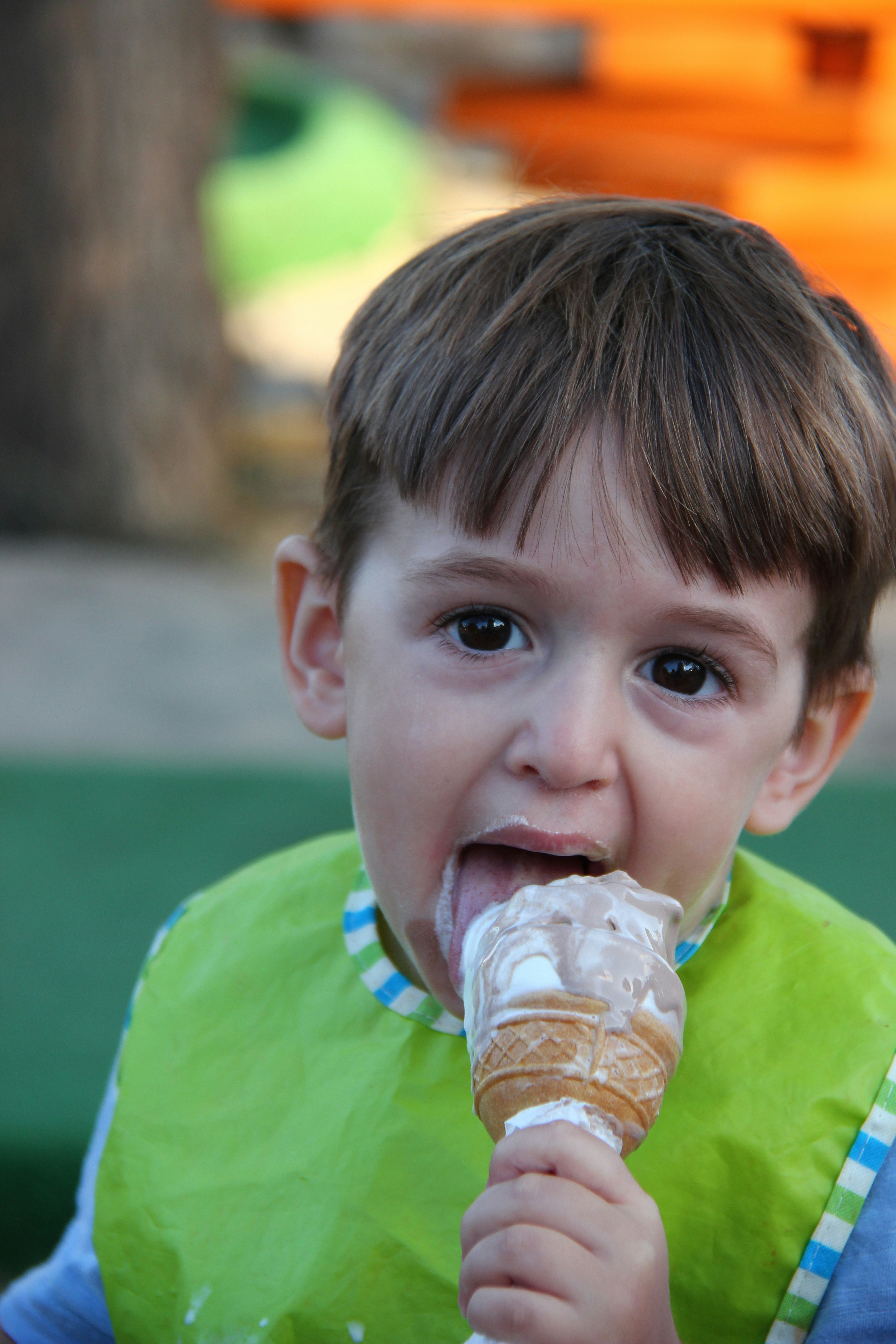 Photo by Shalev Cohen with Canon EOS 600D