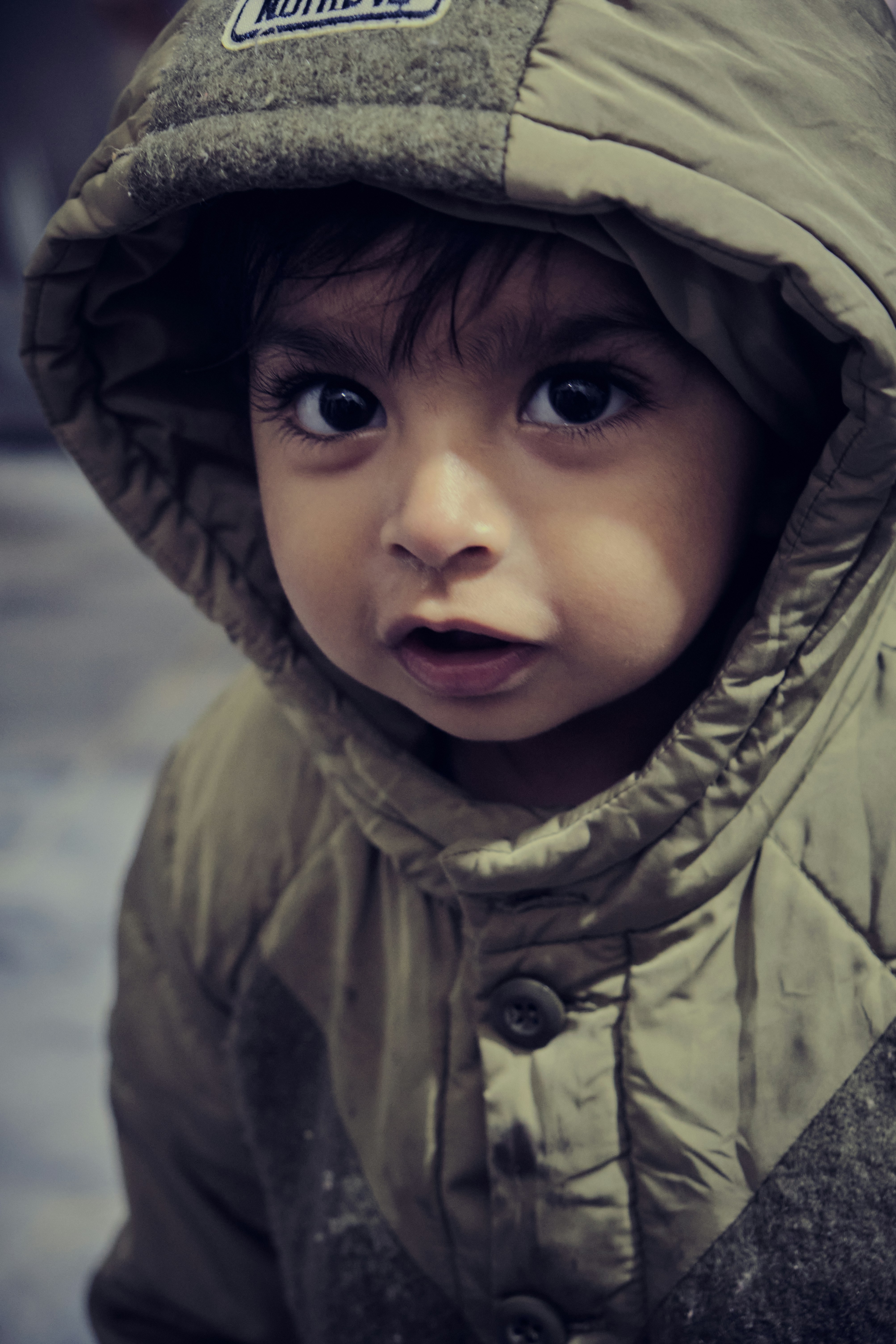Curious Gaze in a Wrapped Winter Coat