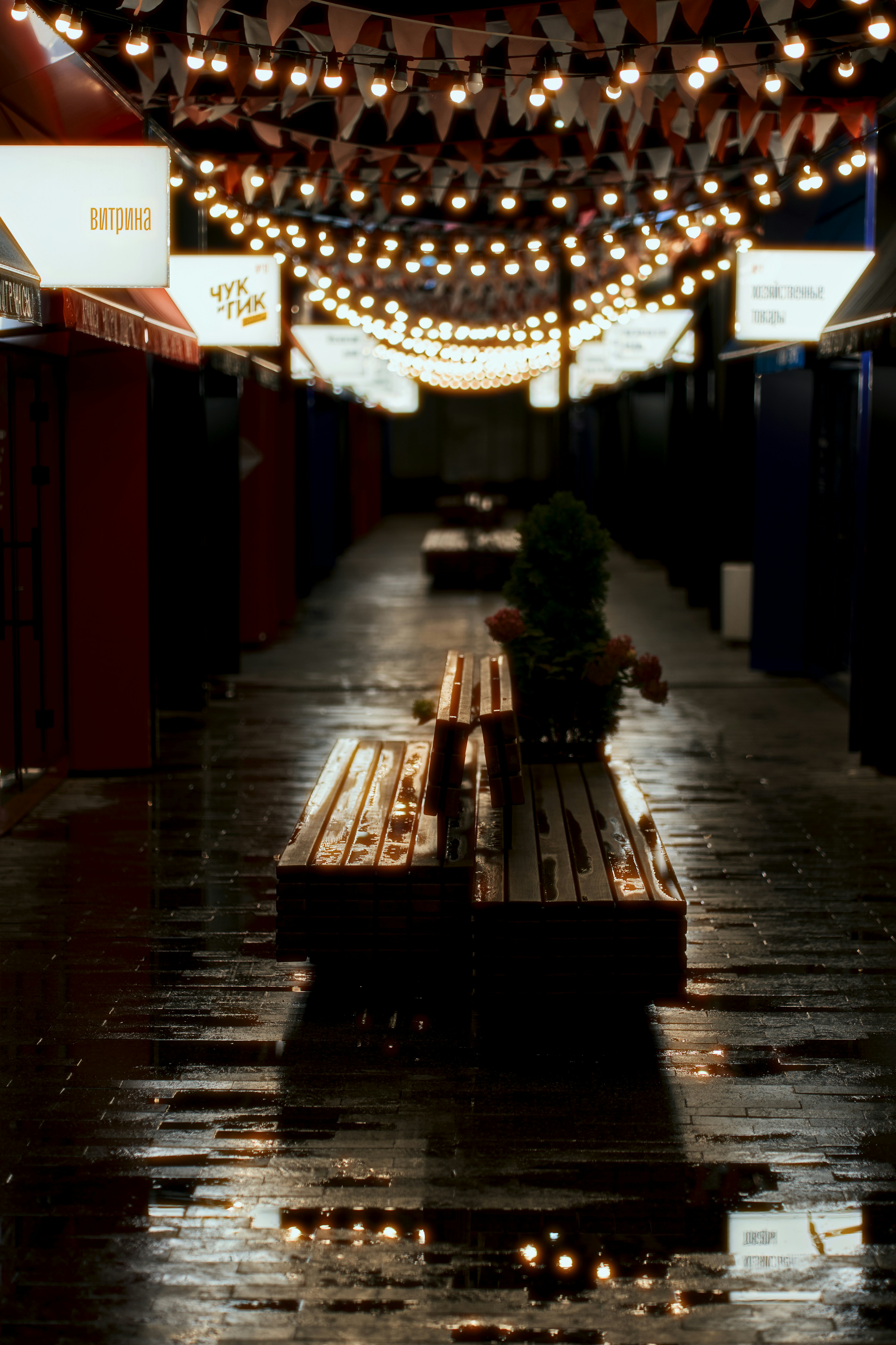 Lantern-lit Alleyway: Wet Benches and Warm Glimmer
