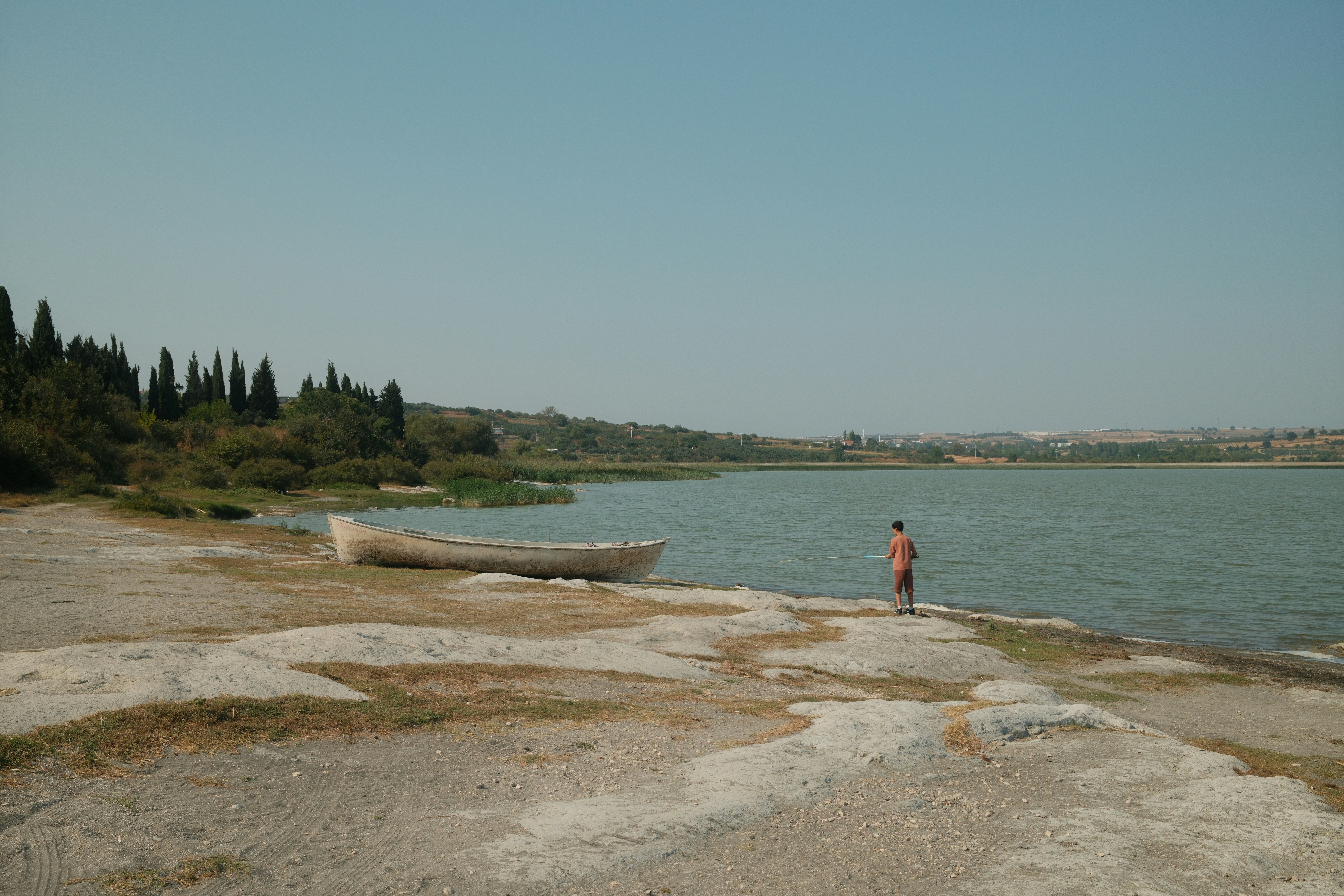 Solitary Wanderer at the Shoreline