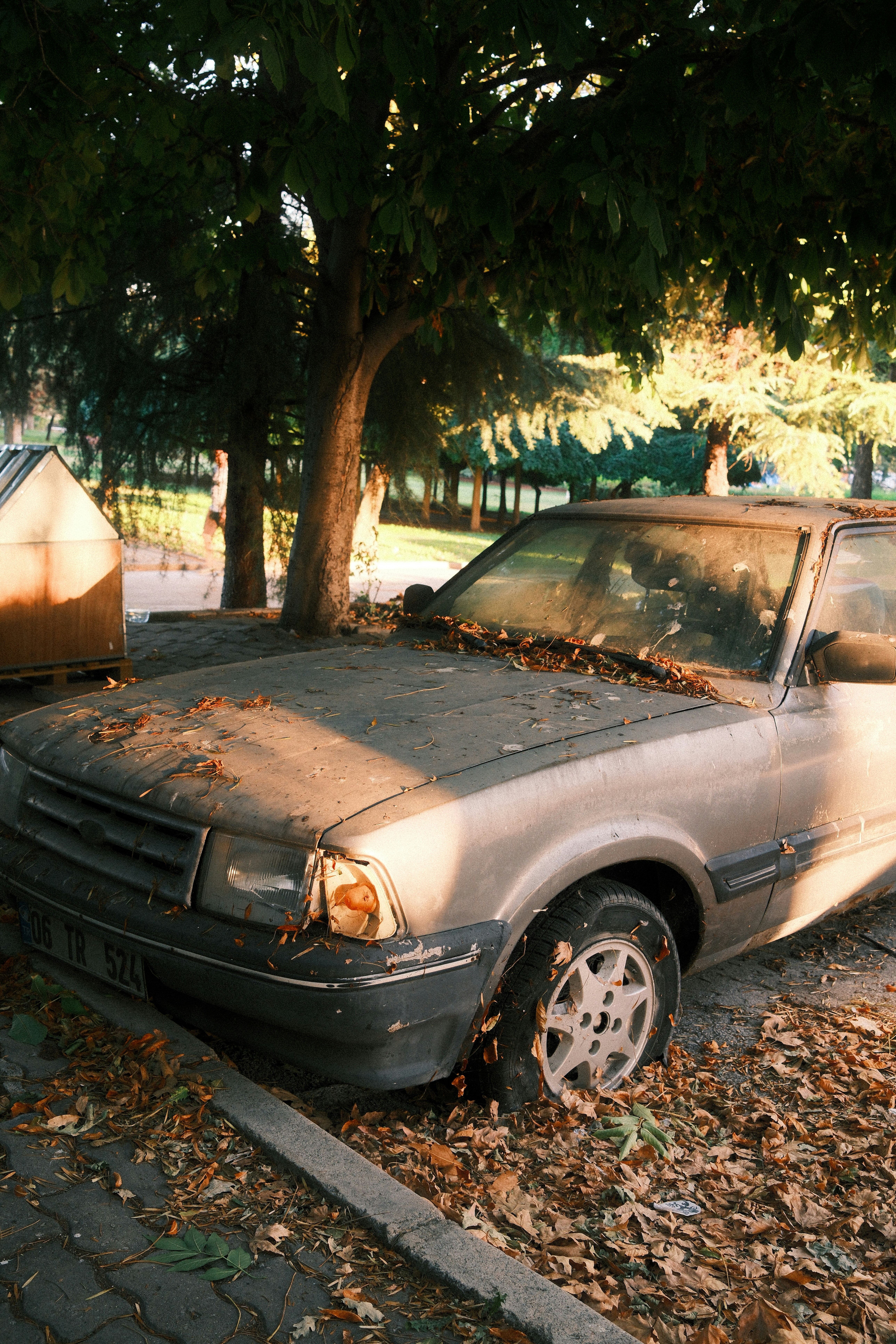 Dusty sedan under autumn shade