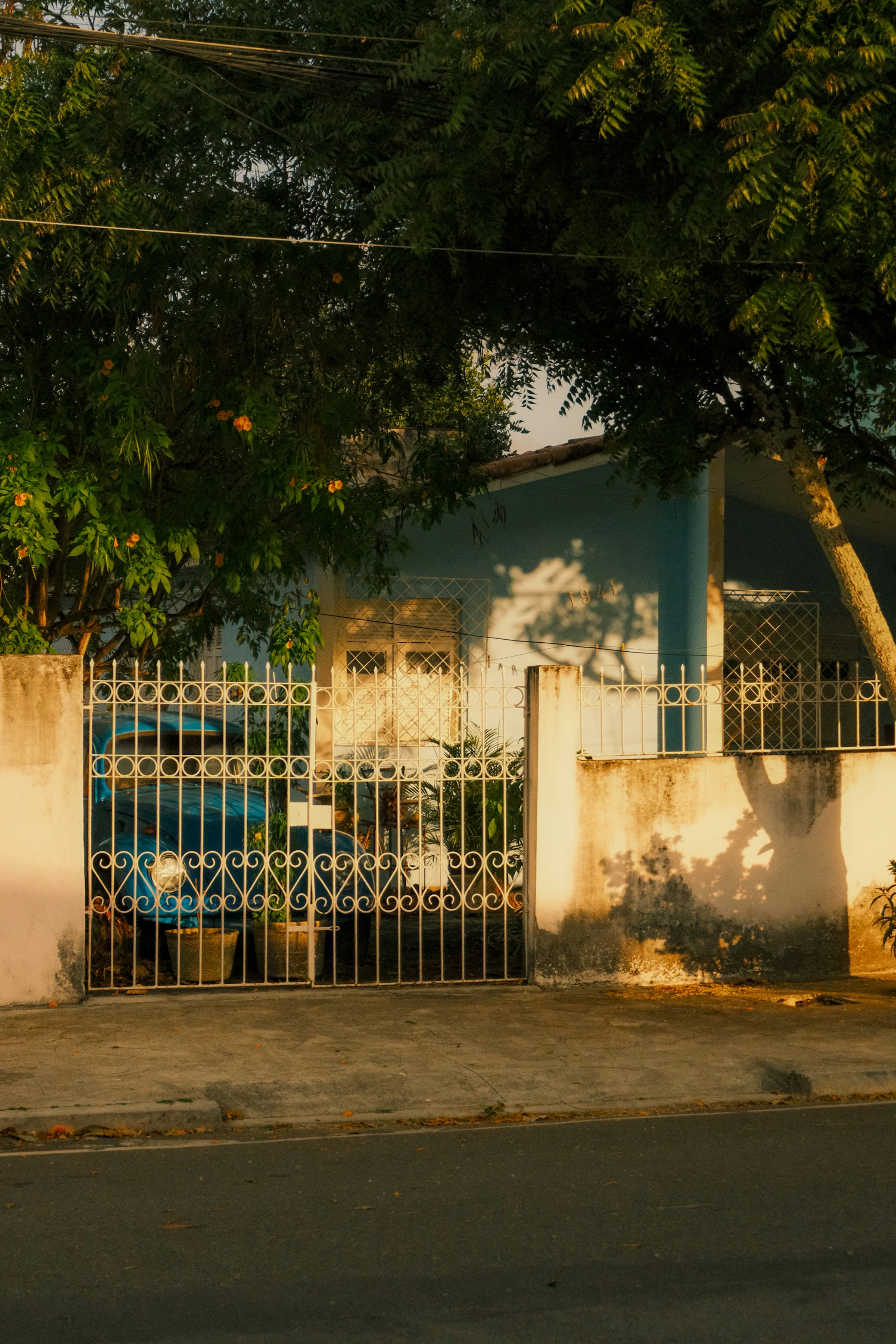 Sunlit Gate: A Quiet Street Framed by Wrought Iron and Shade