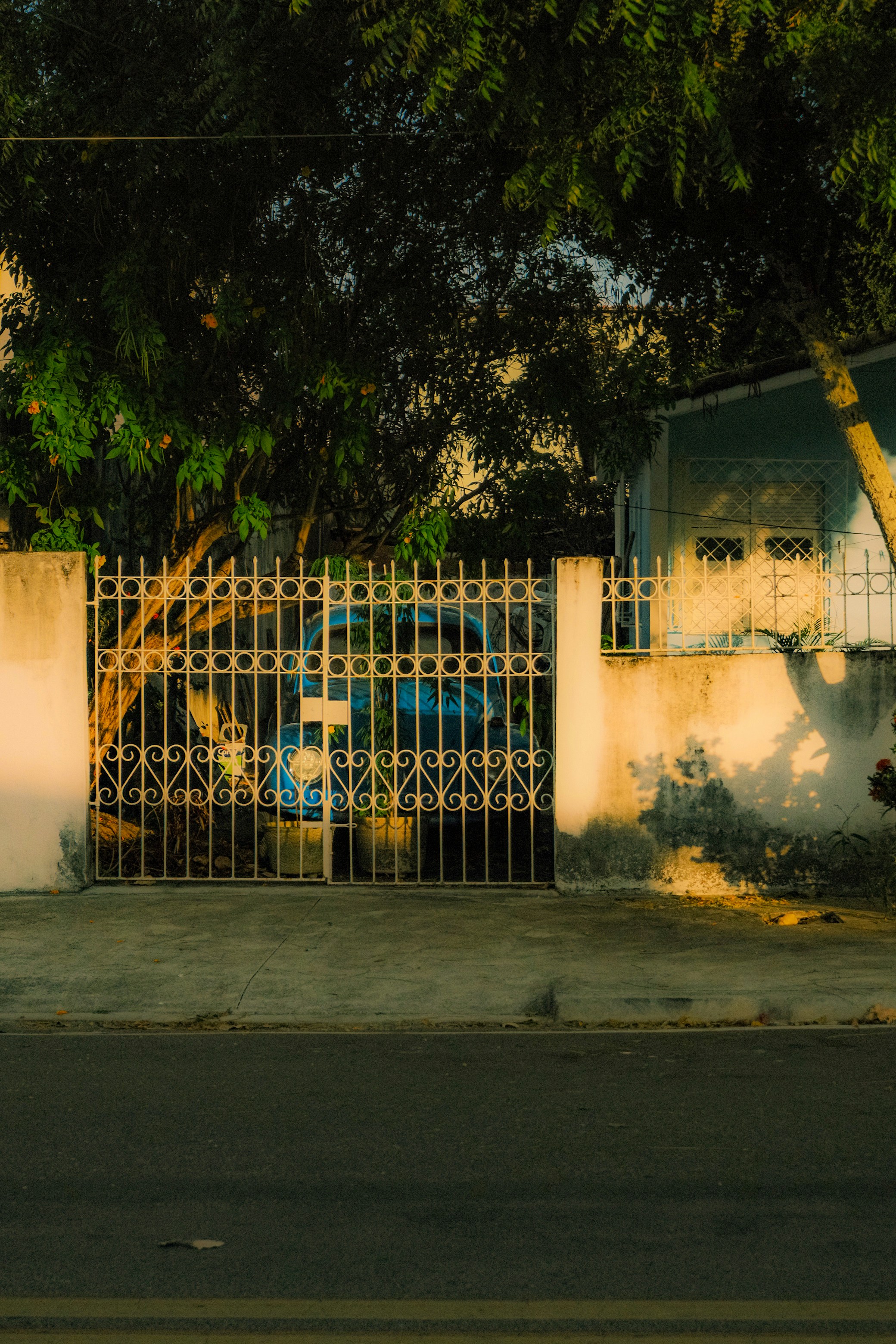 Gatekeeper in the Quiet Drive: A Hidden Car Behind the Wrought Iron