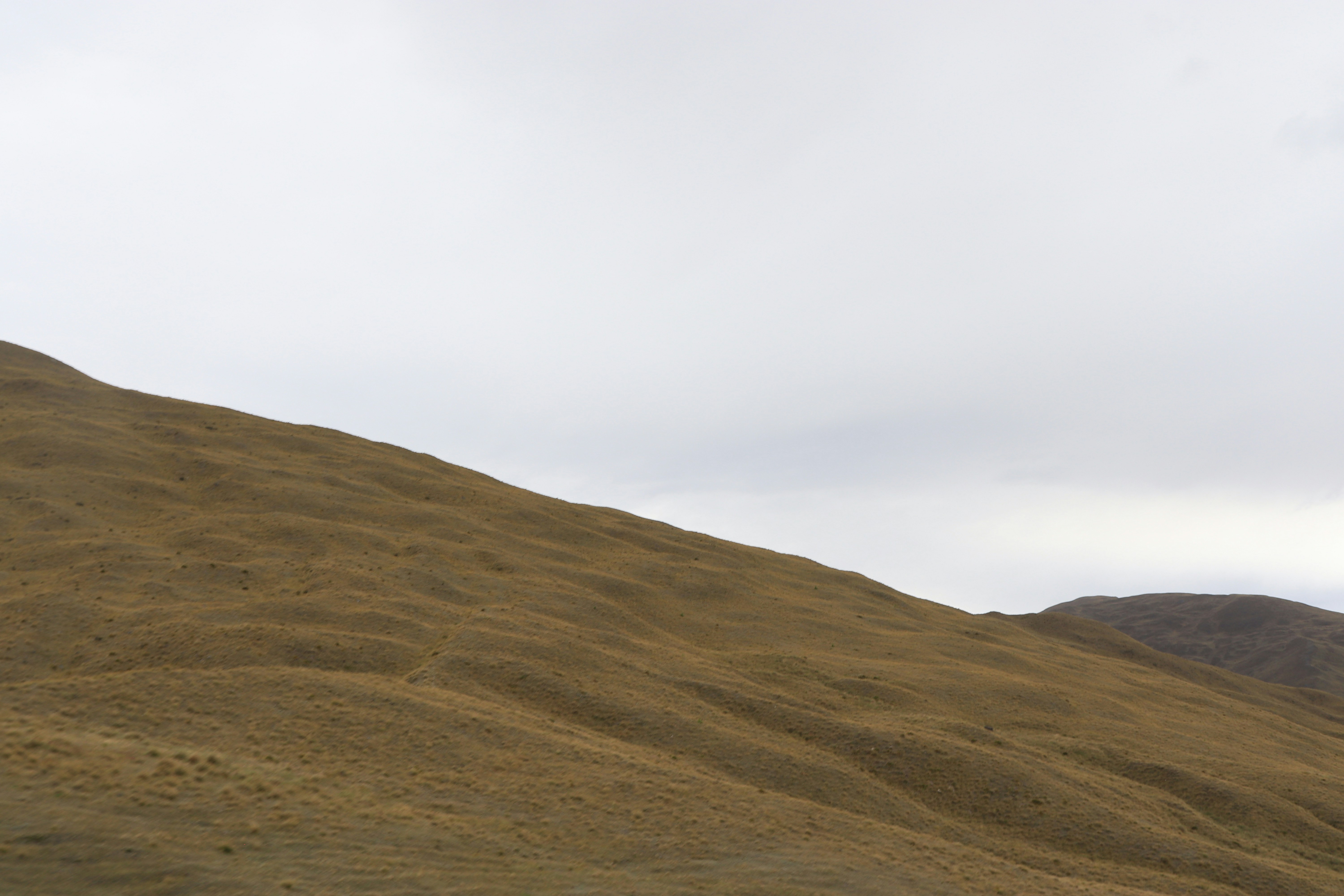 Undulating Moor under a Quiet Sky