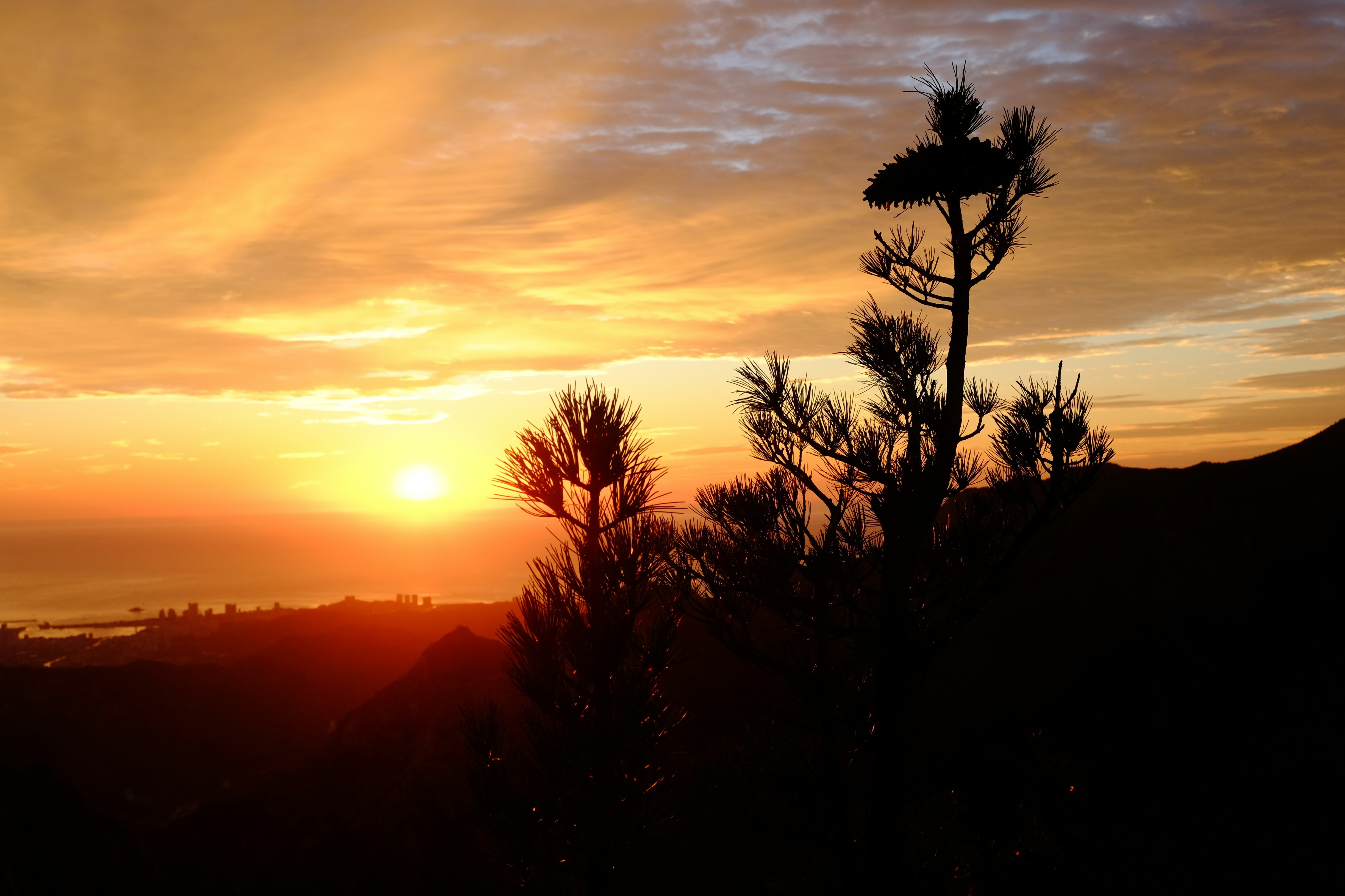 Sunset silhouette over rugged ridge with lone pine