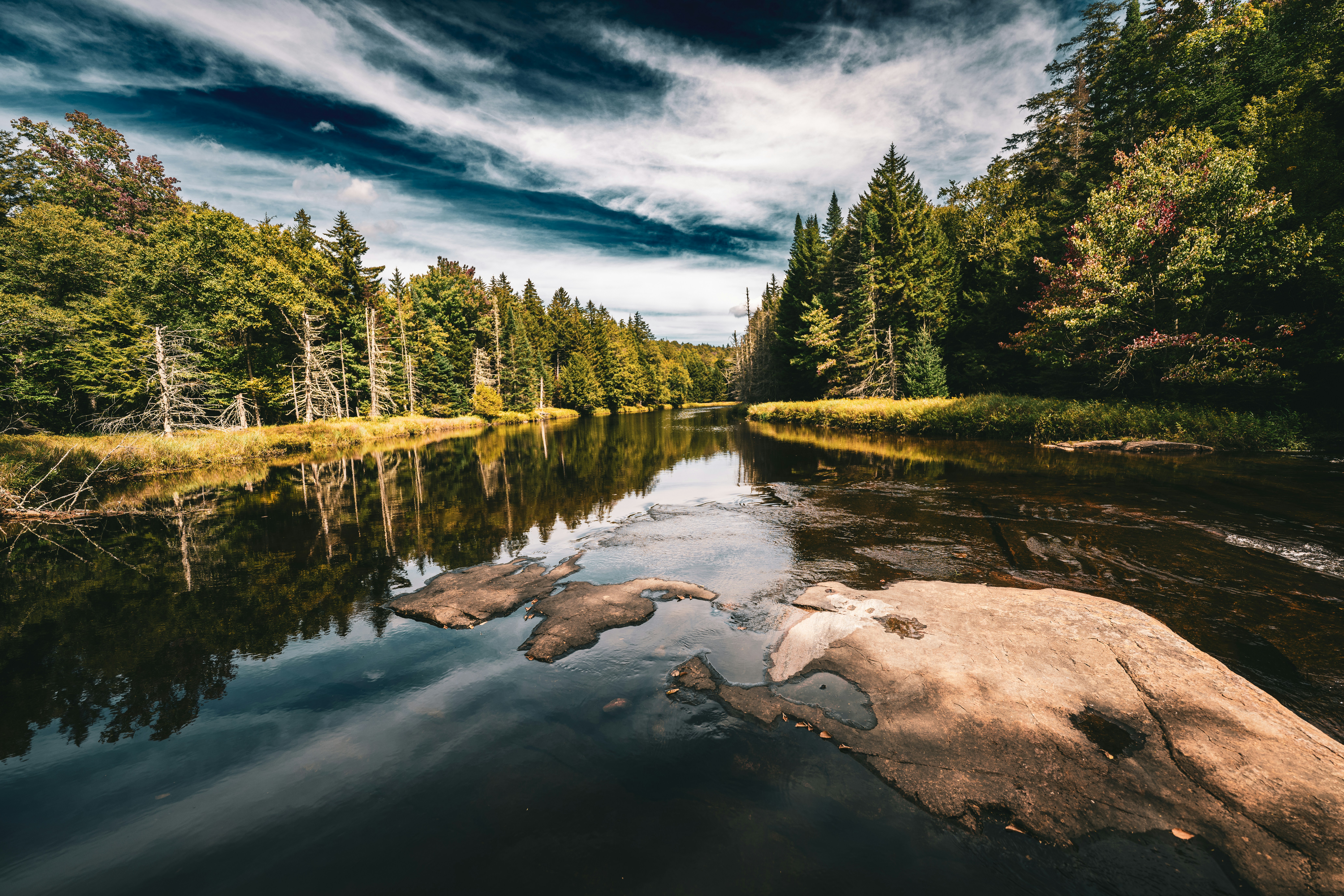 River Mirror: Pines, Rocks, and a Sky-touched Path